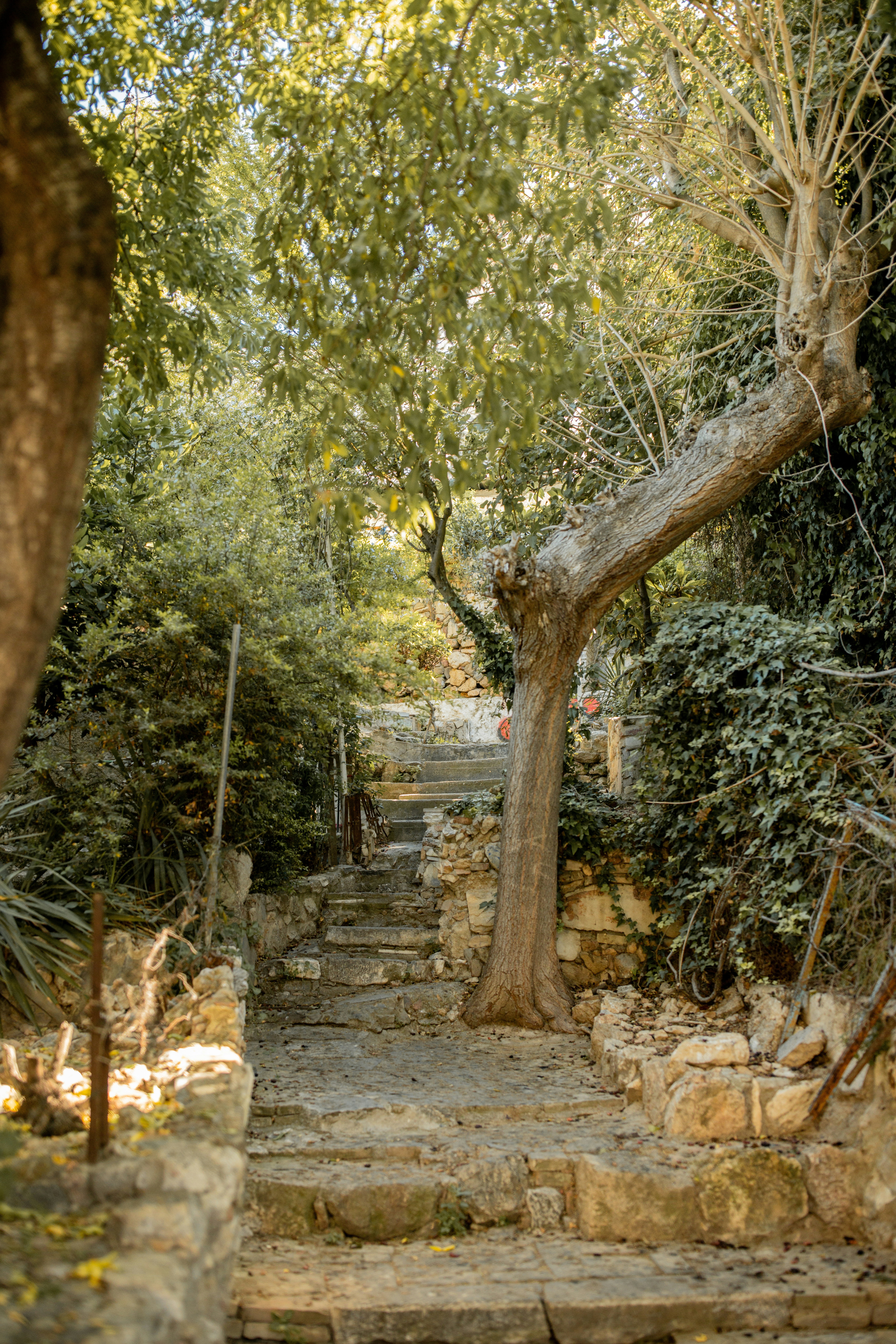 Stone Steps Through a Quiet Garden Corridor