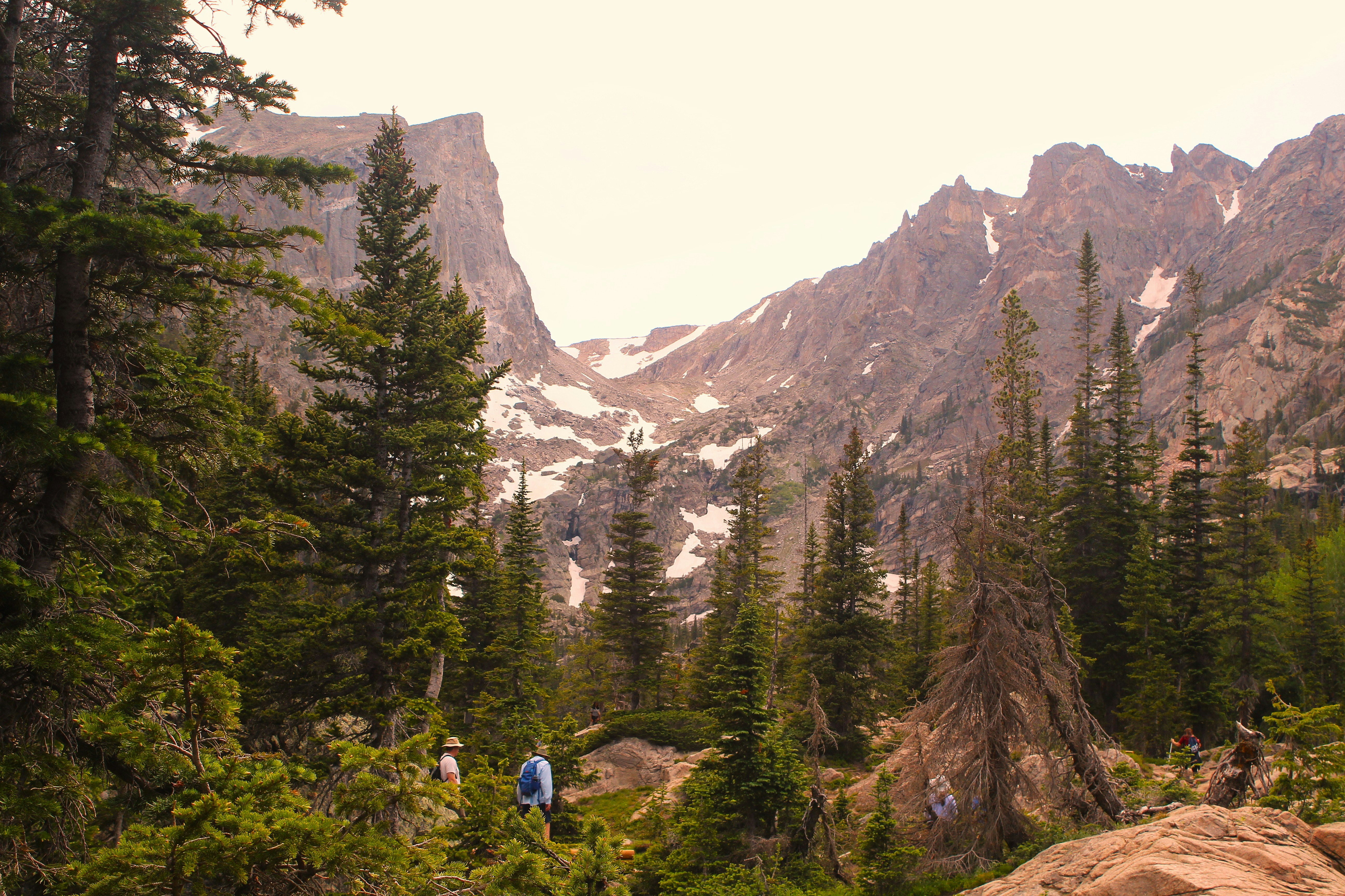Verdant Ascent Beneath Snow-edged Peaks