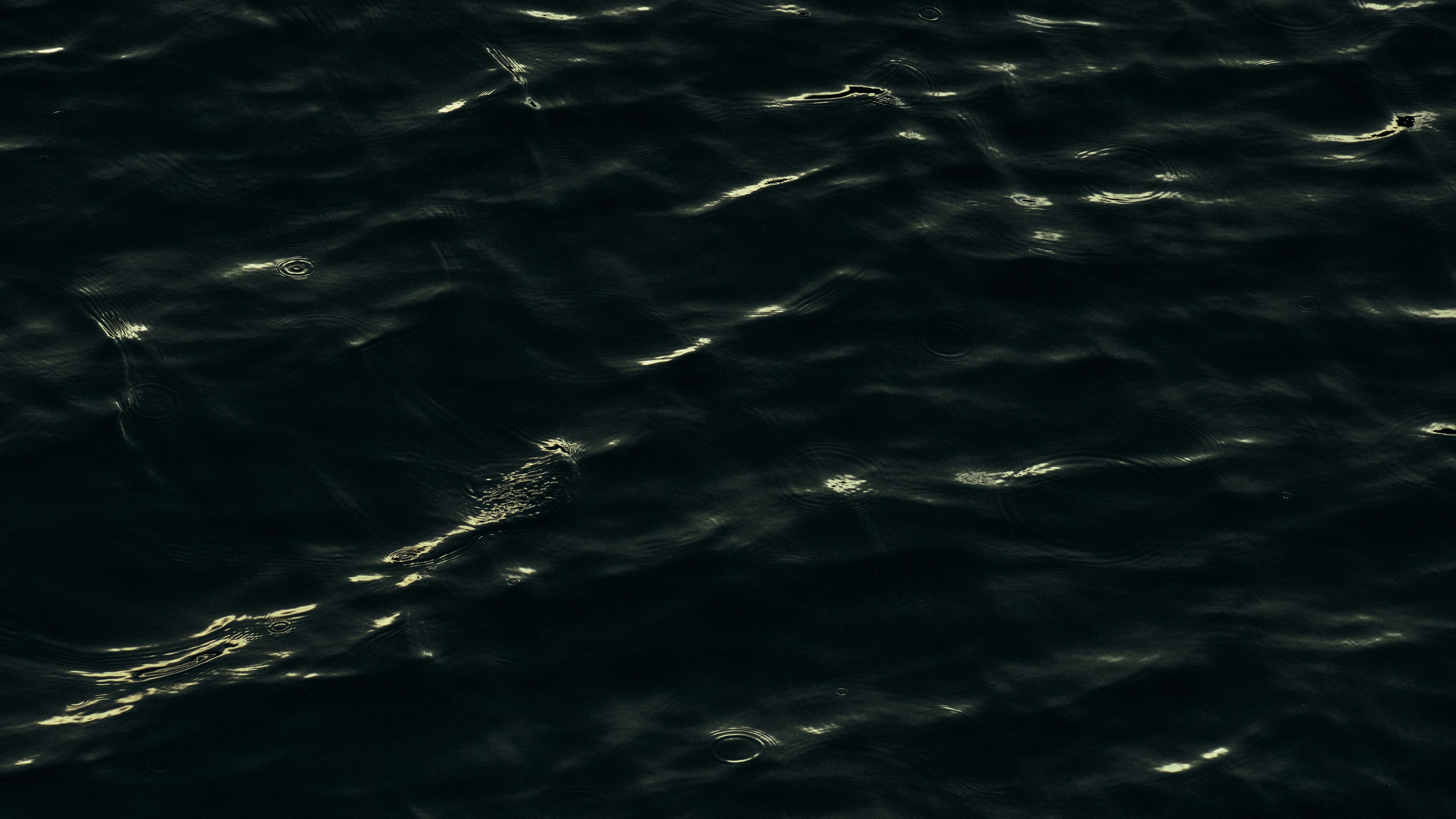 Midnight Glimmer on Tide-Washed Asphalt: A Quiet Ocean Portrait