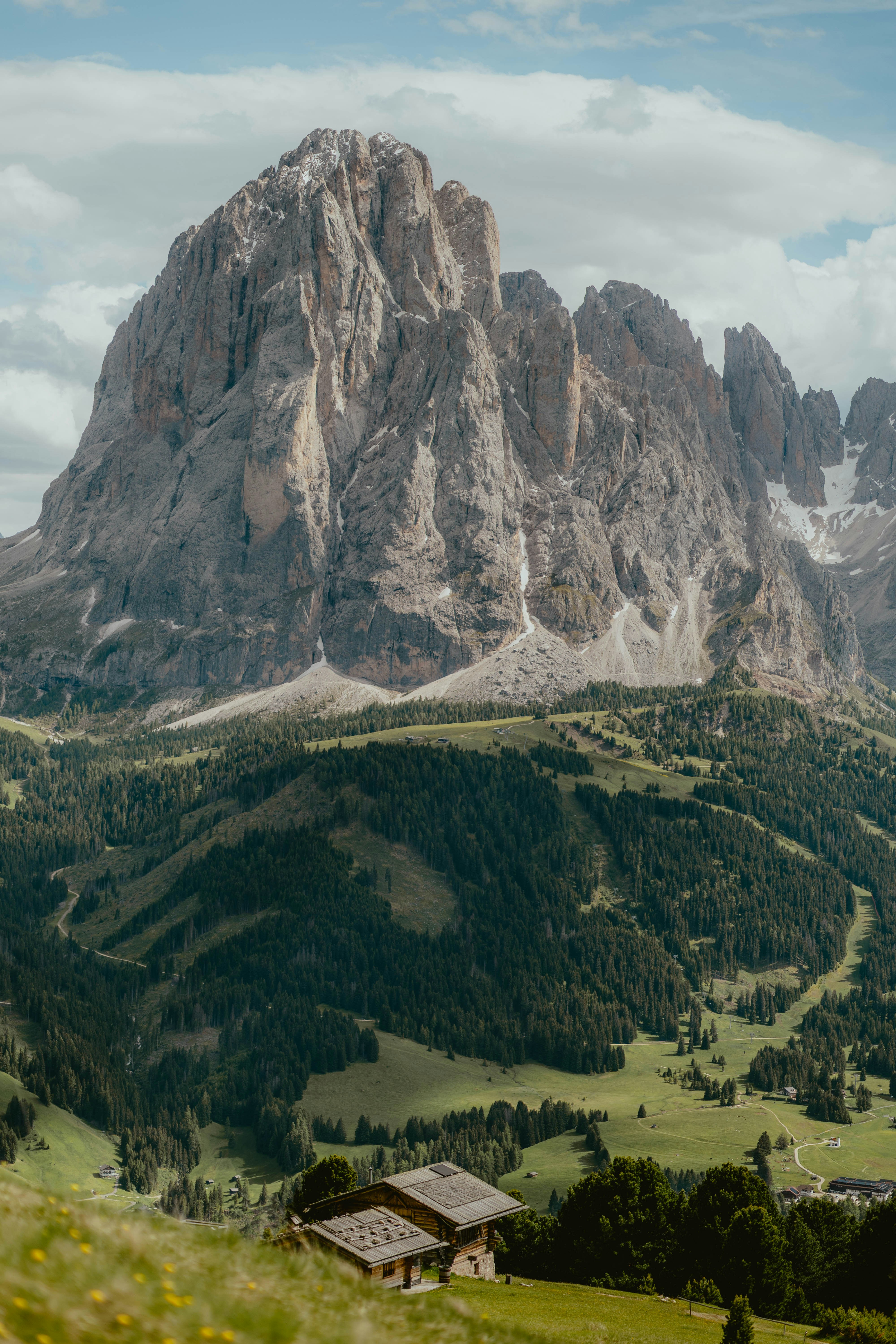 Peak Sentinel Overlook: A Timbered Front Amid Alpine Giants