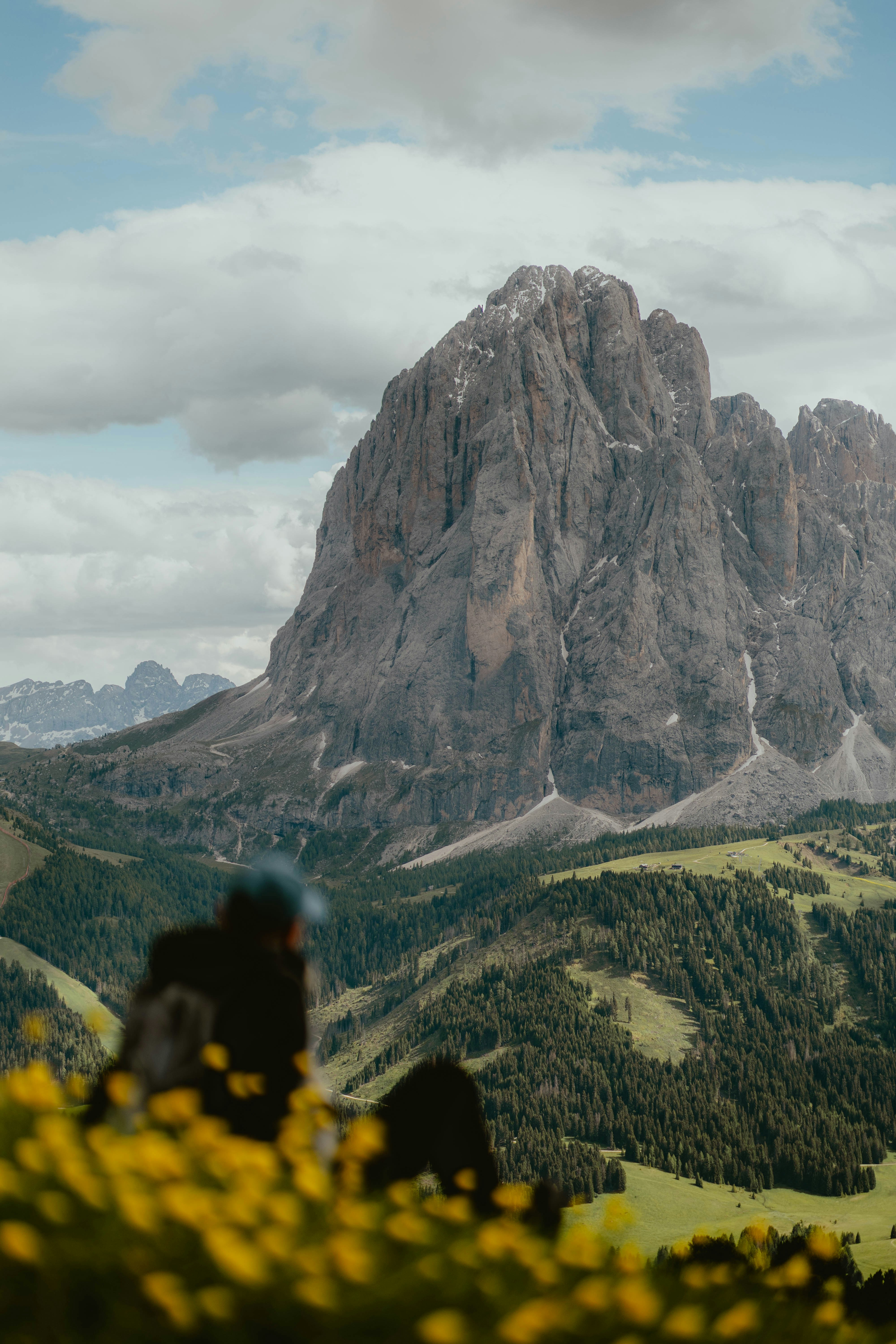 Majestic Peak Looming over Alpine Valley with Blurred Foreground
