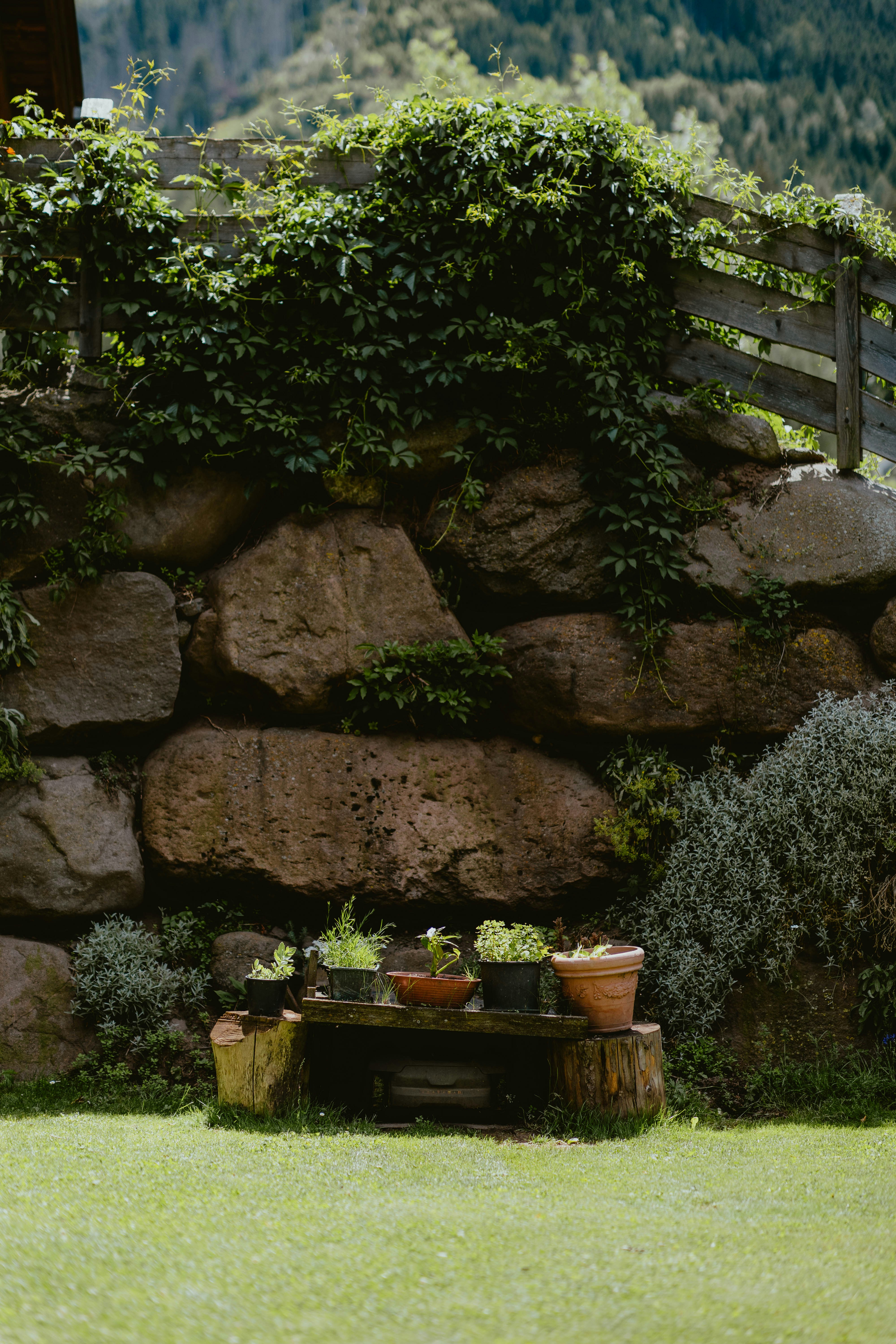 Wildlife Garden: A Small Terracotta Ensemble Beneath Stone Terrace Steps