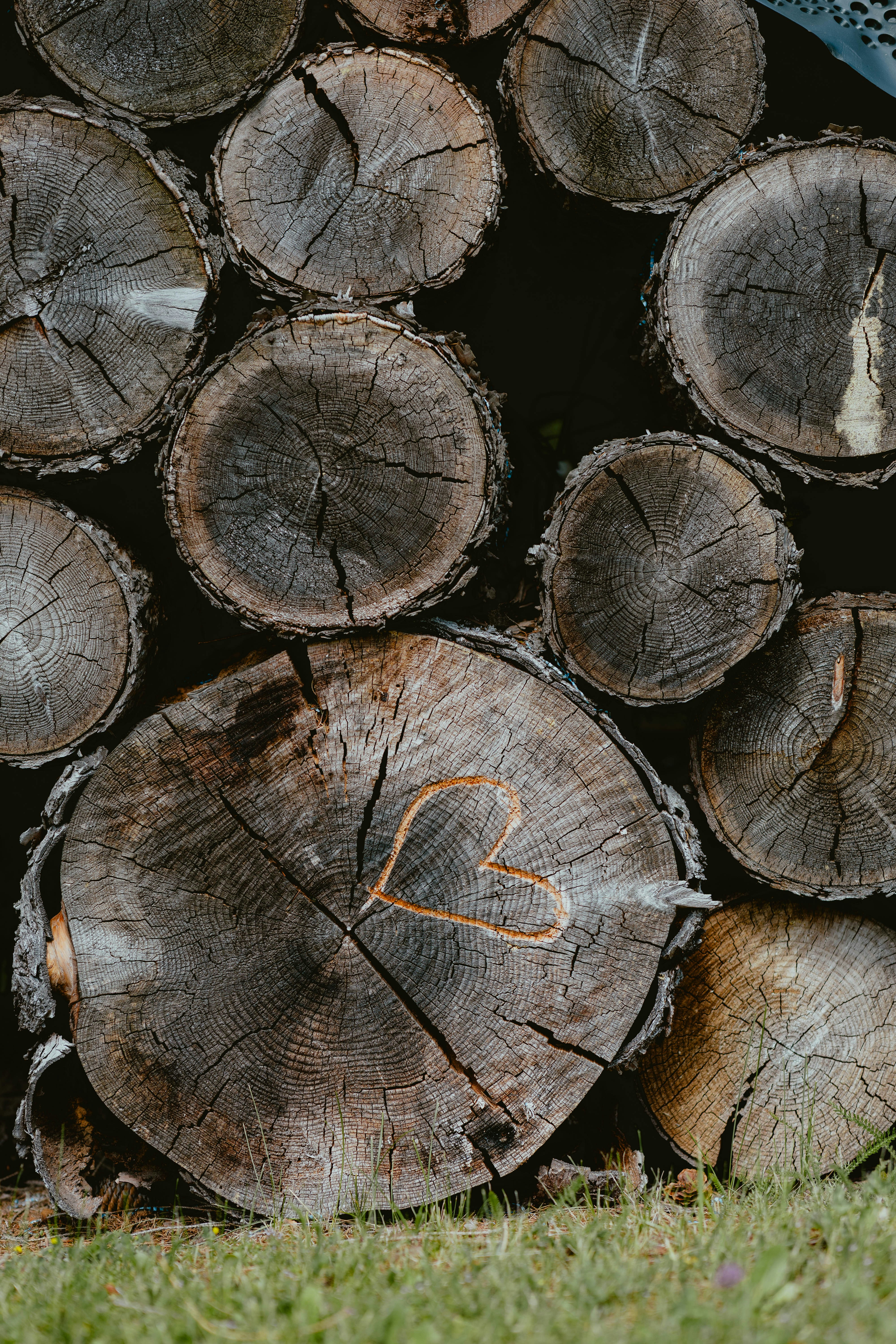 Heart carved in a weathered log: stacked rounds and natural textures