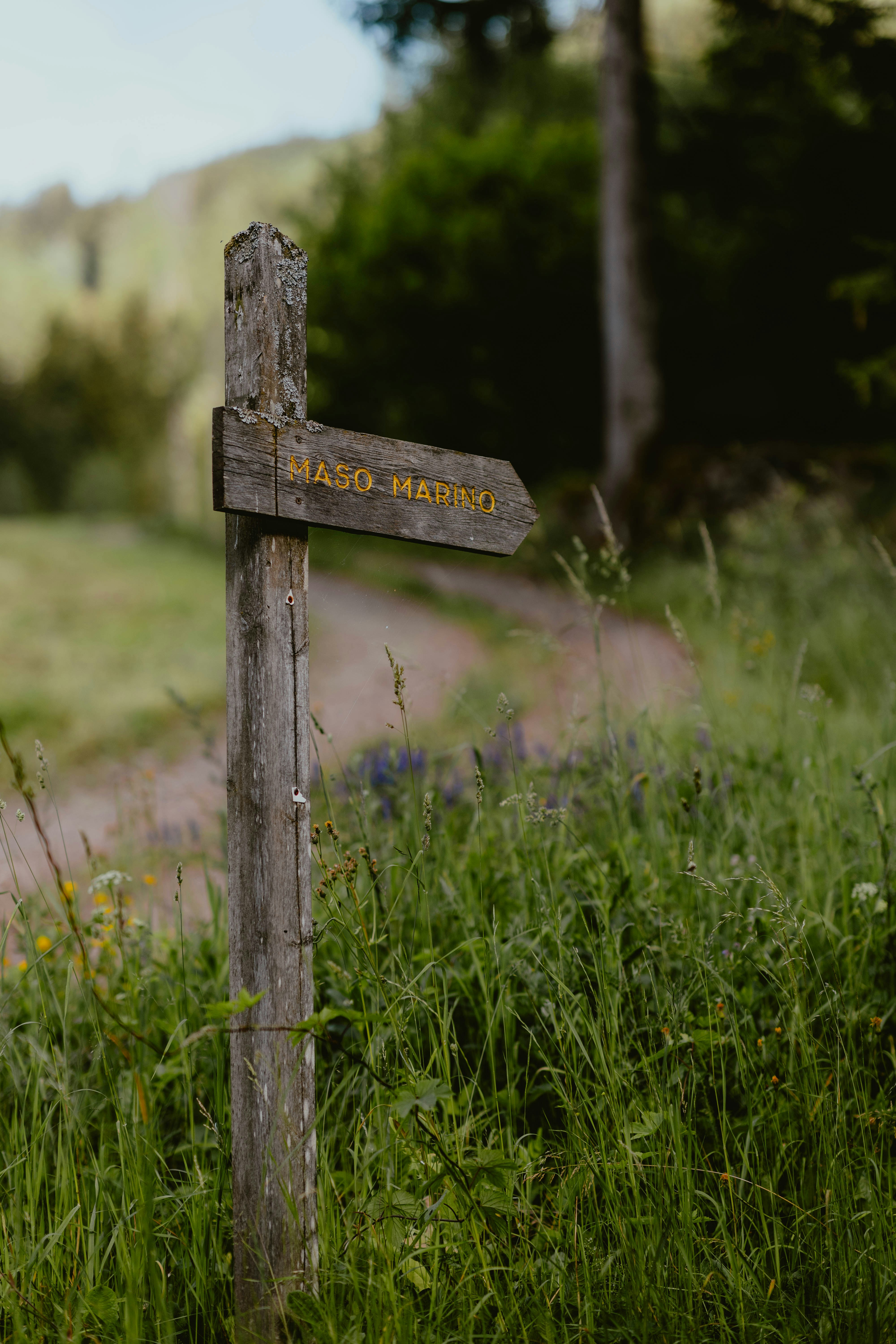 Weathered Signpost Pointing Toward the Quiet Trail