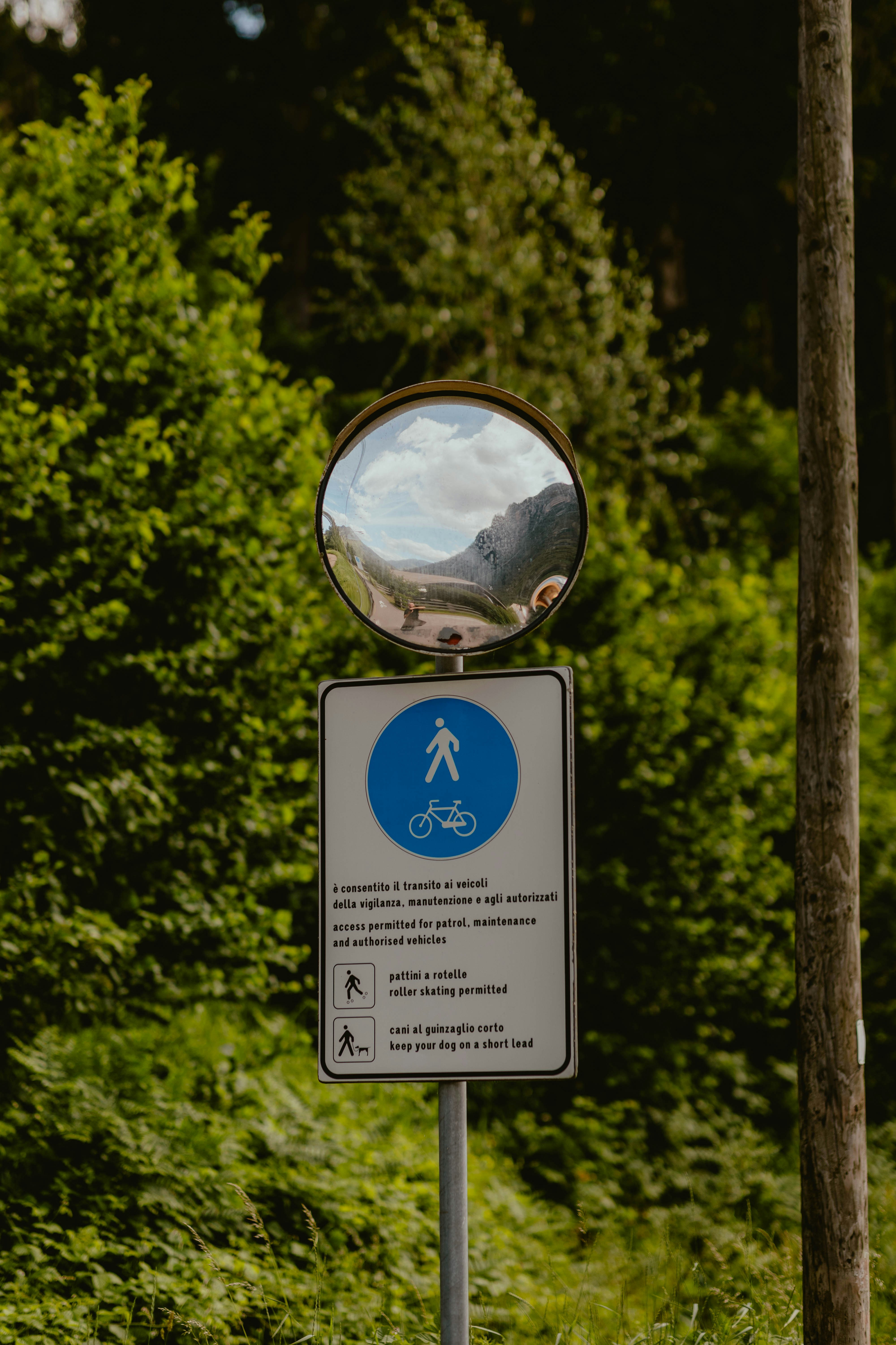 Mirror of the Trail: A Sign and its Reflected Path