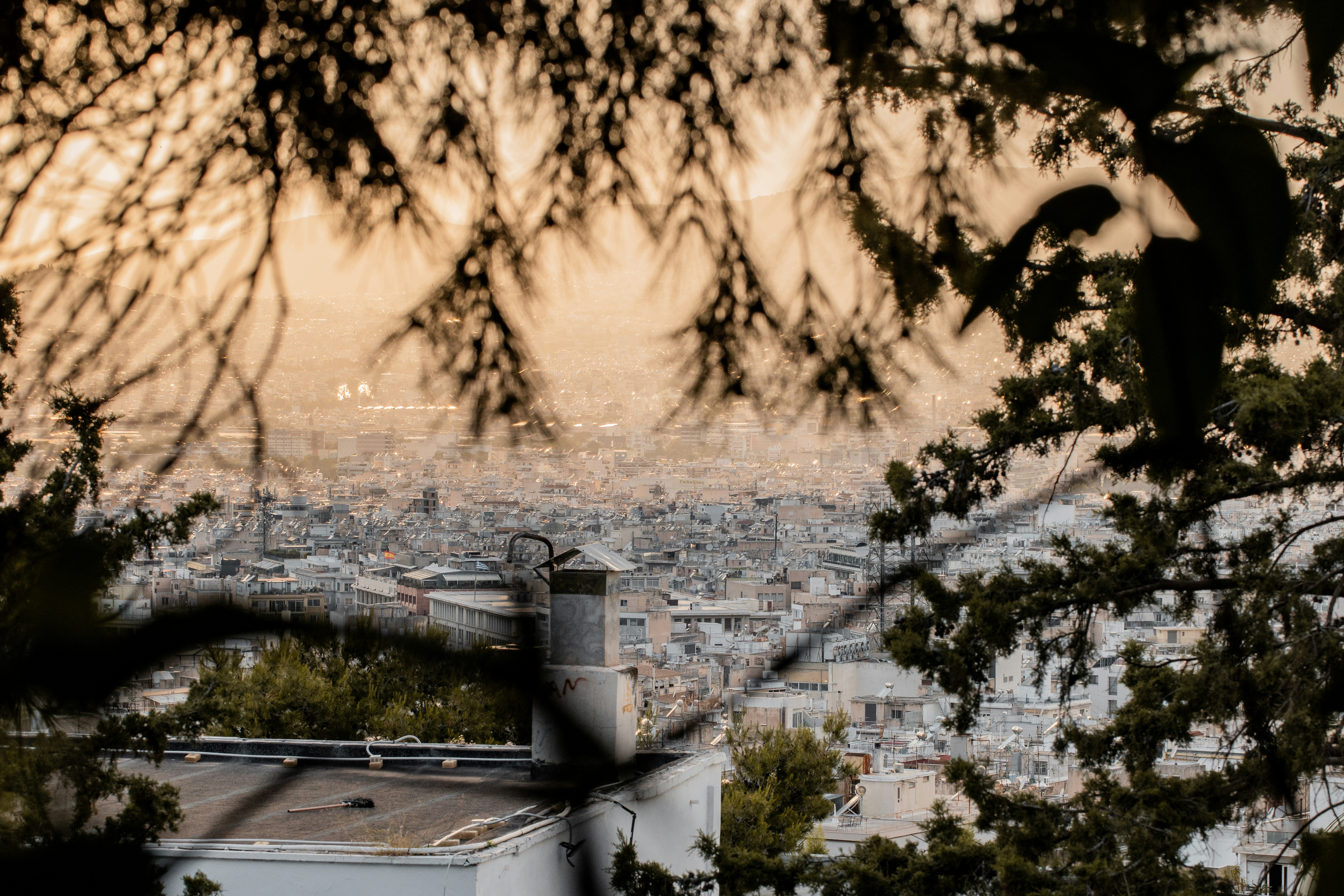 Sunset Over the Urban Tapestry