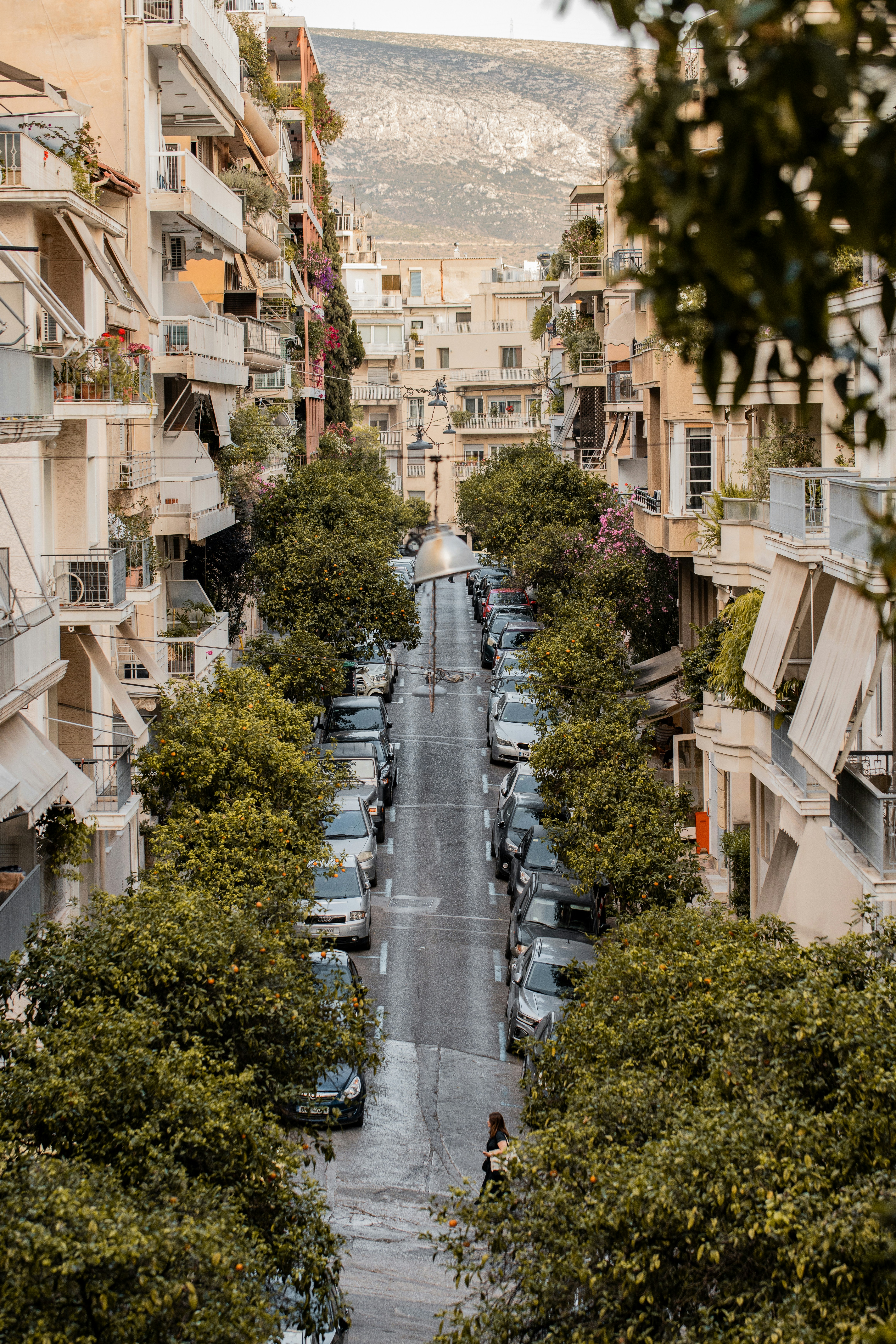 City Canyon: A Linet of Cars and Green Canopies Down a Narrow Street