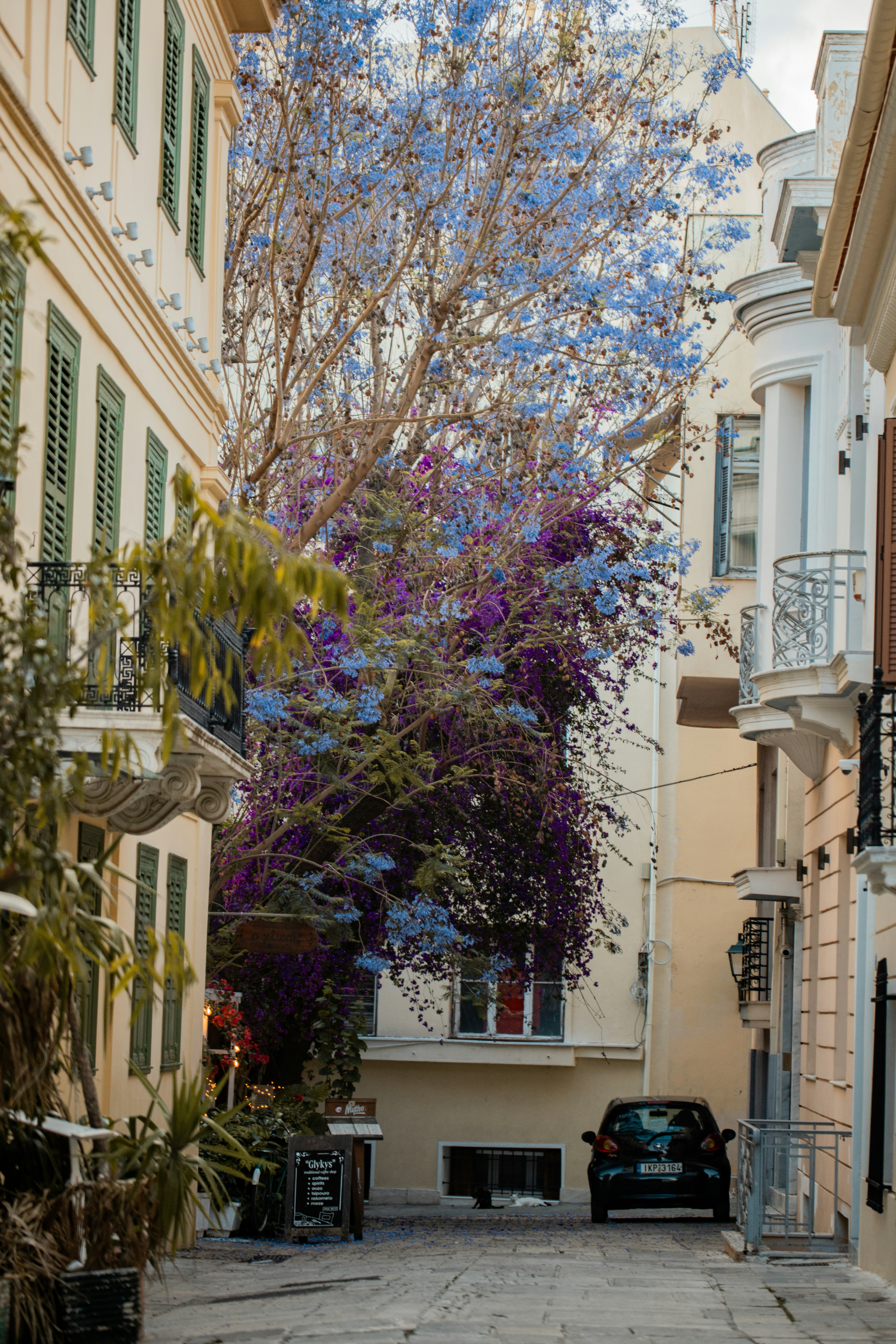 Cascading Bougainvillea Framing a Narrow Mediterranean Street