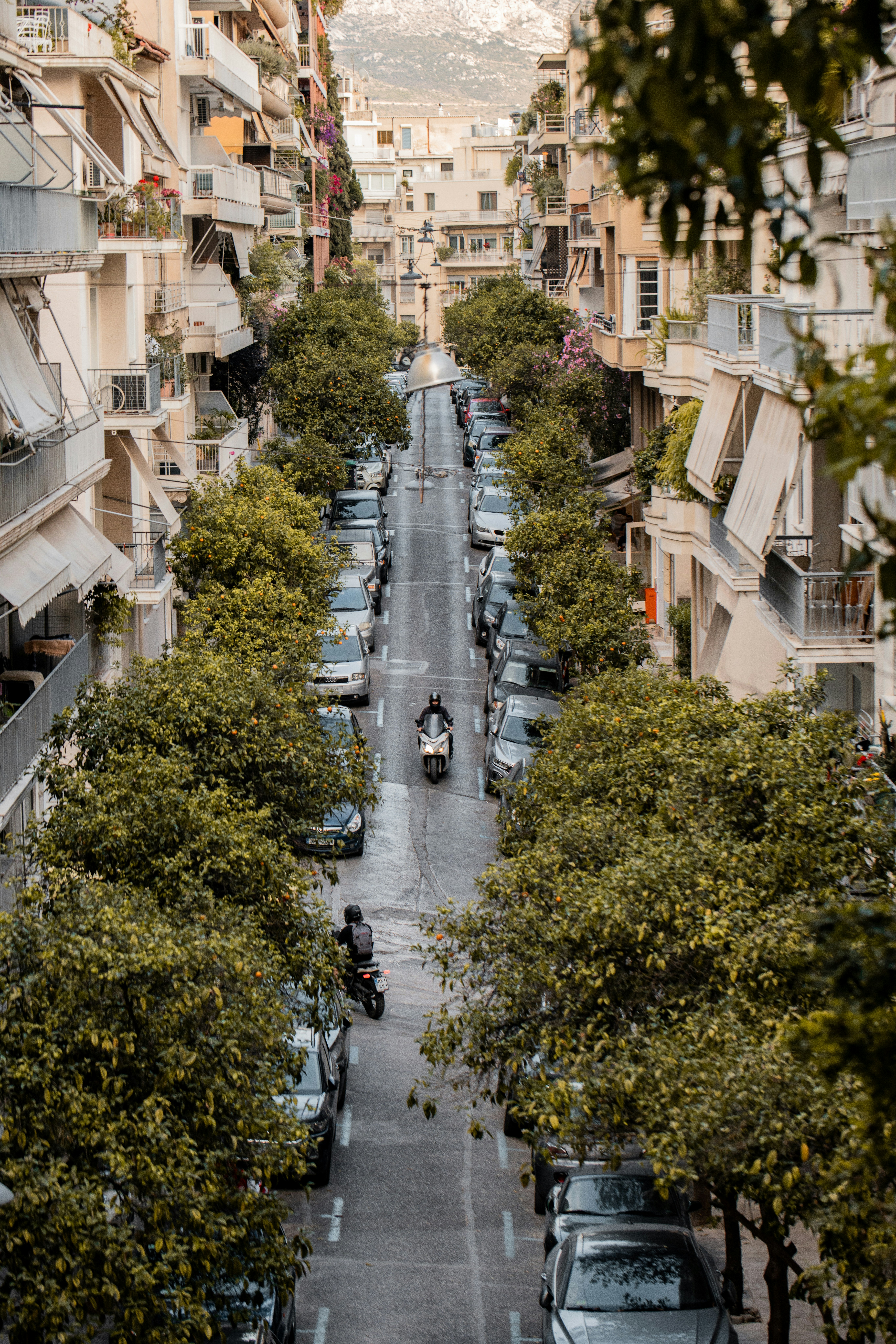 Urban Parade: A Quiet Street Vanishing Between Trees and Balconies