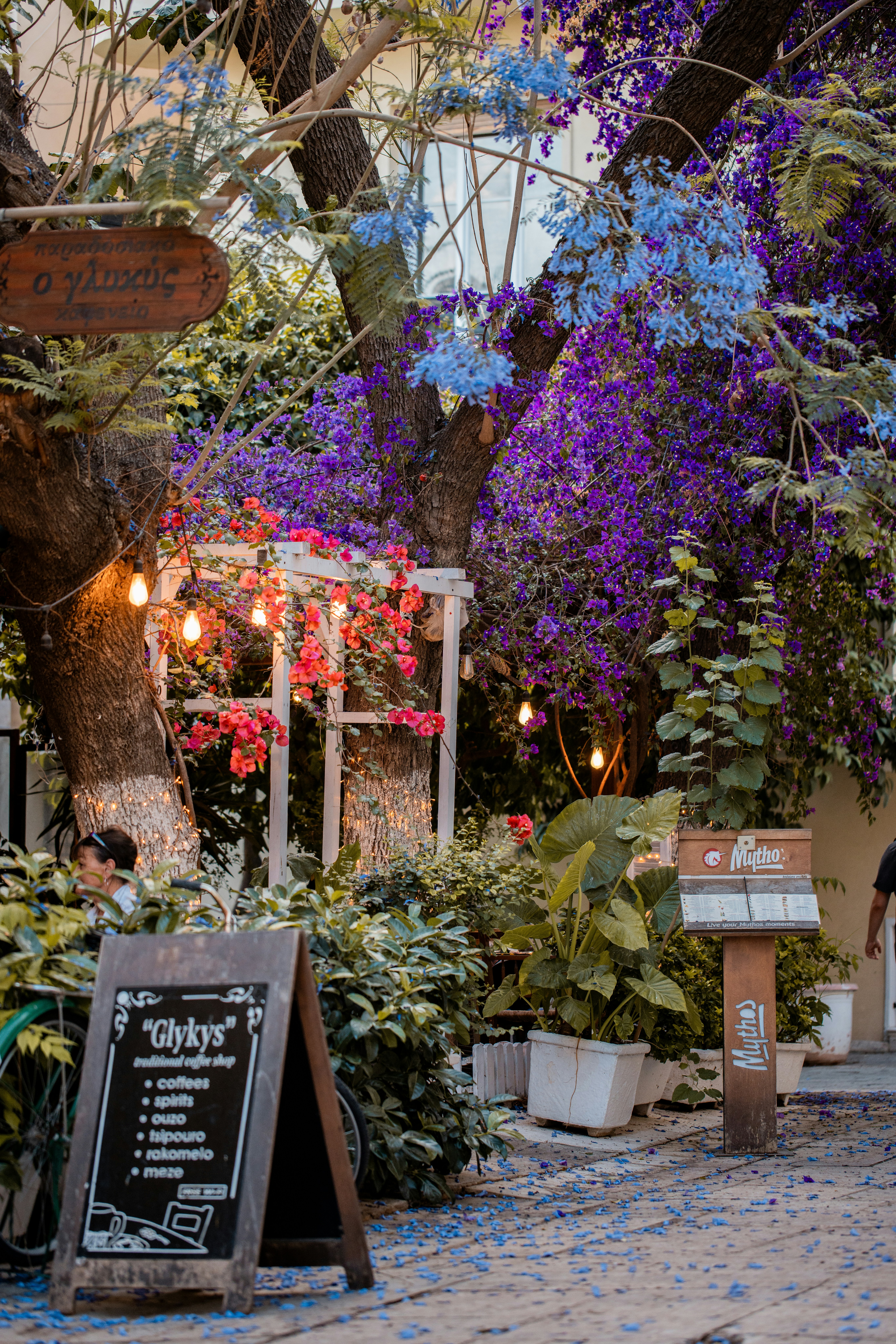 Bougainvillea Arcadia: A Sunlit Café Terrace Beneath Lavender Vines