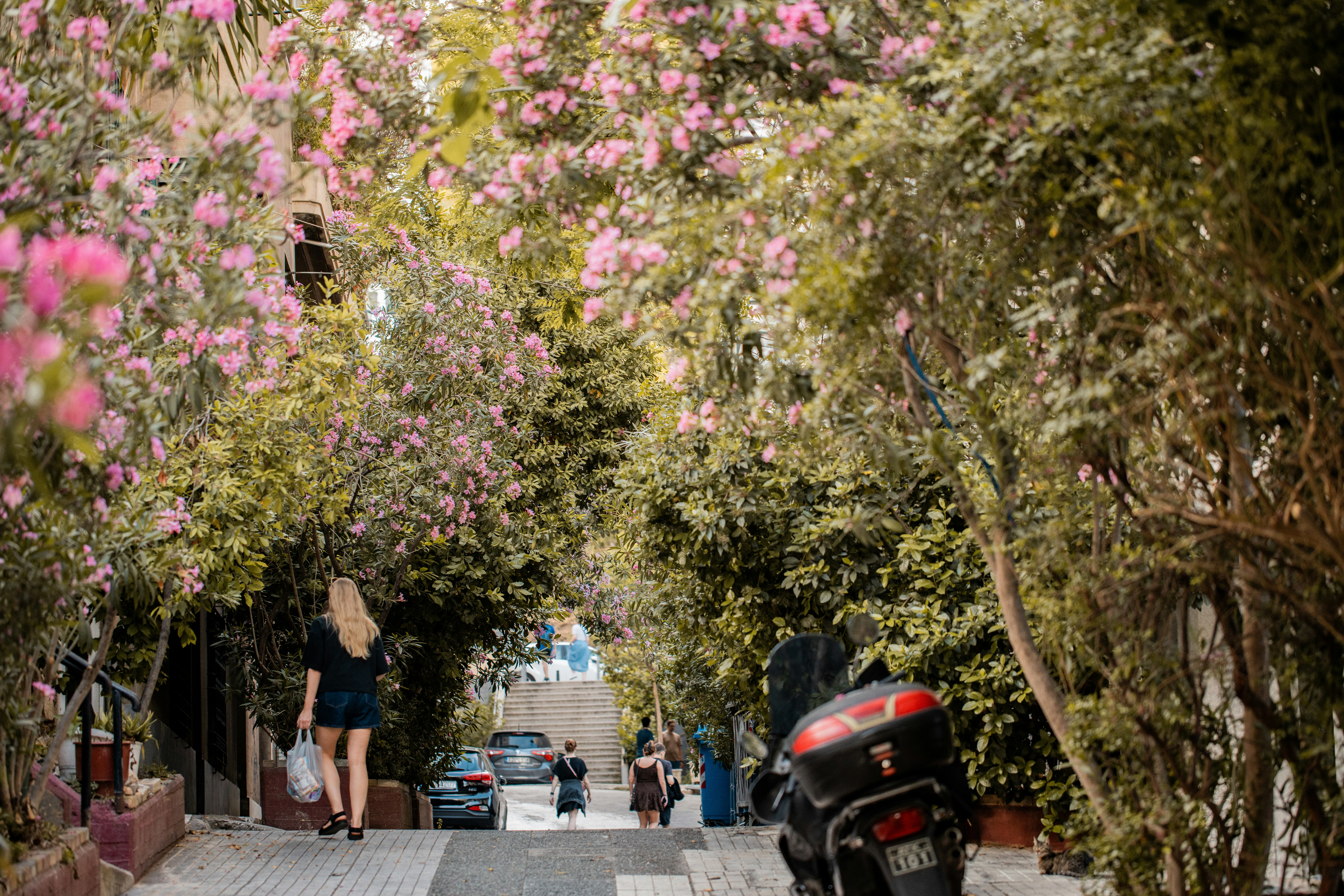 Sunlit street through flowering archways toward distant steps