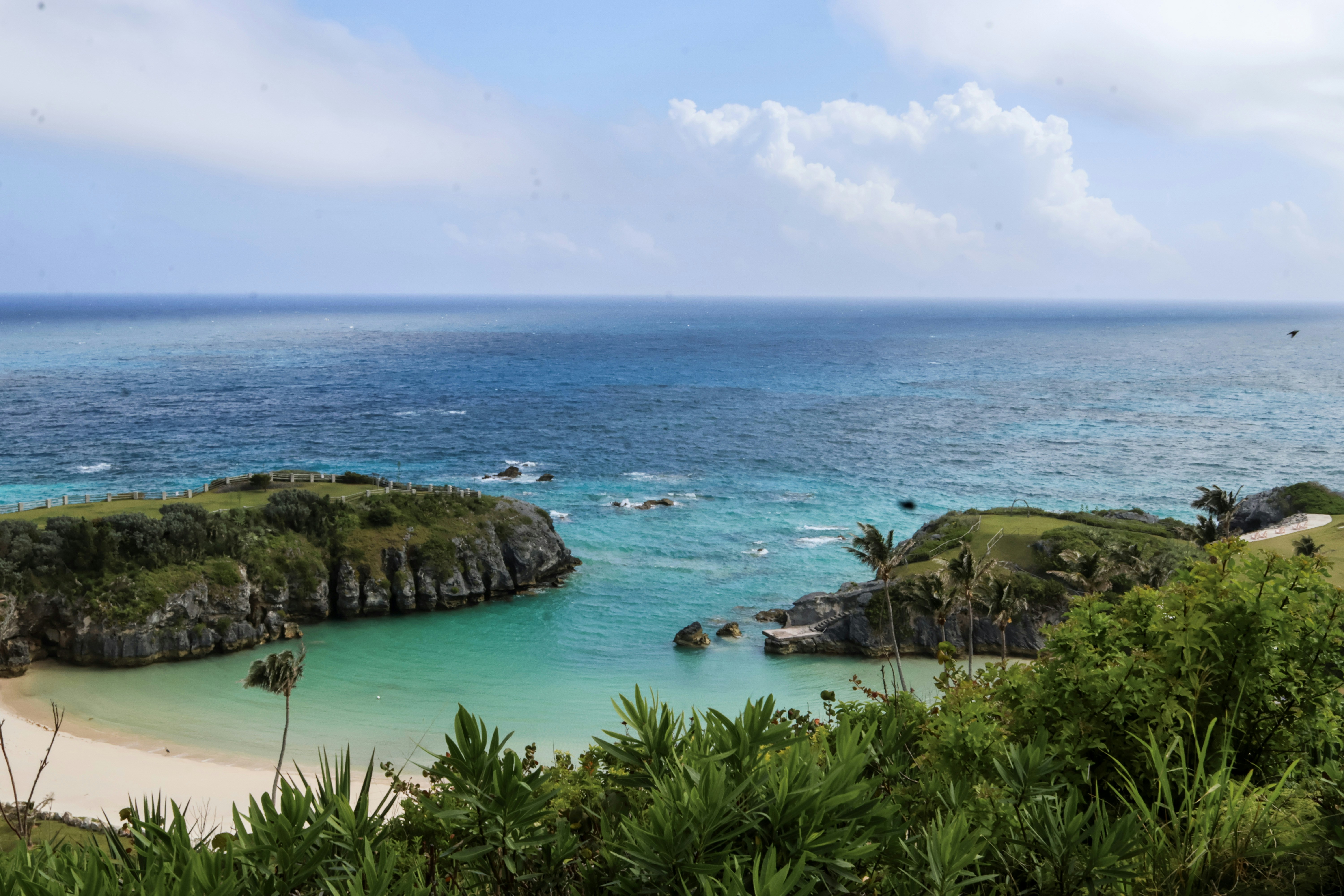 Emerald Cove Fringed by Coral Cliffs