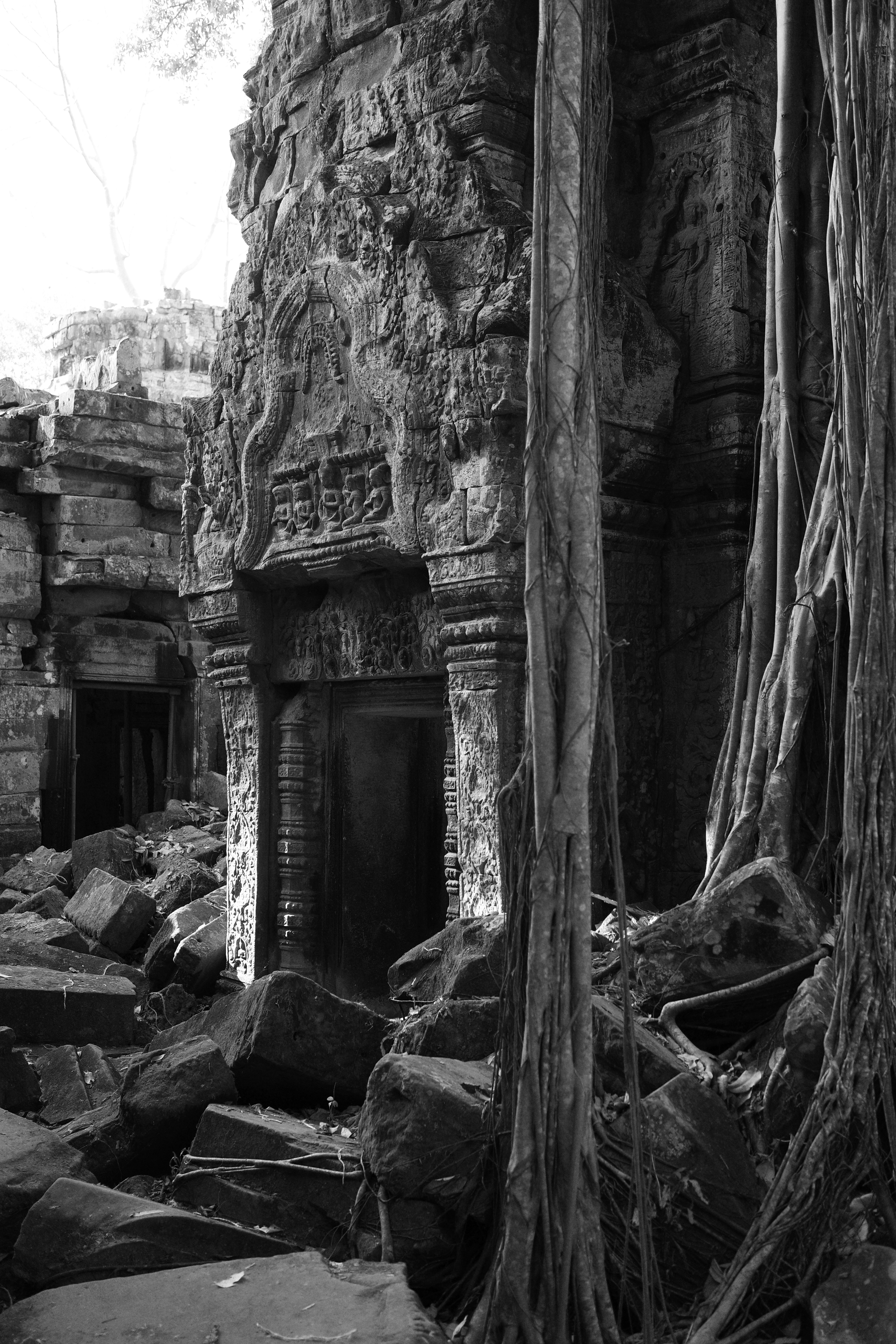 Ancient Temple Reclaimed by Roots and Time