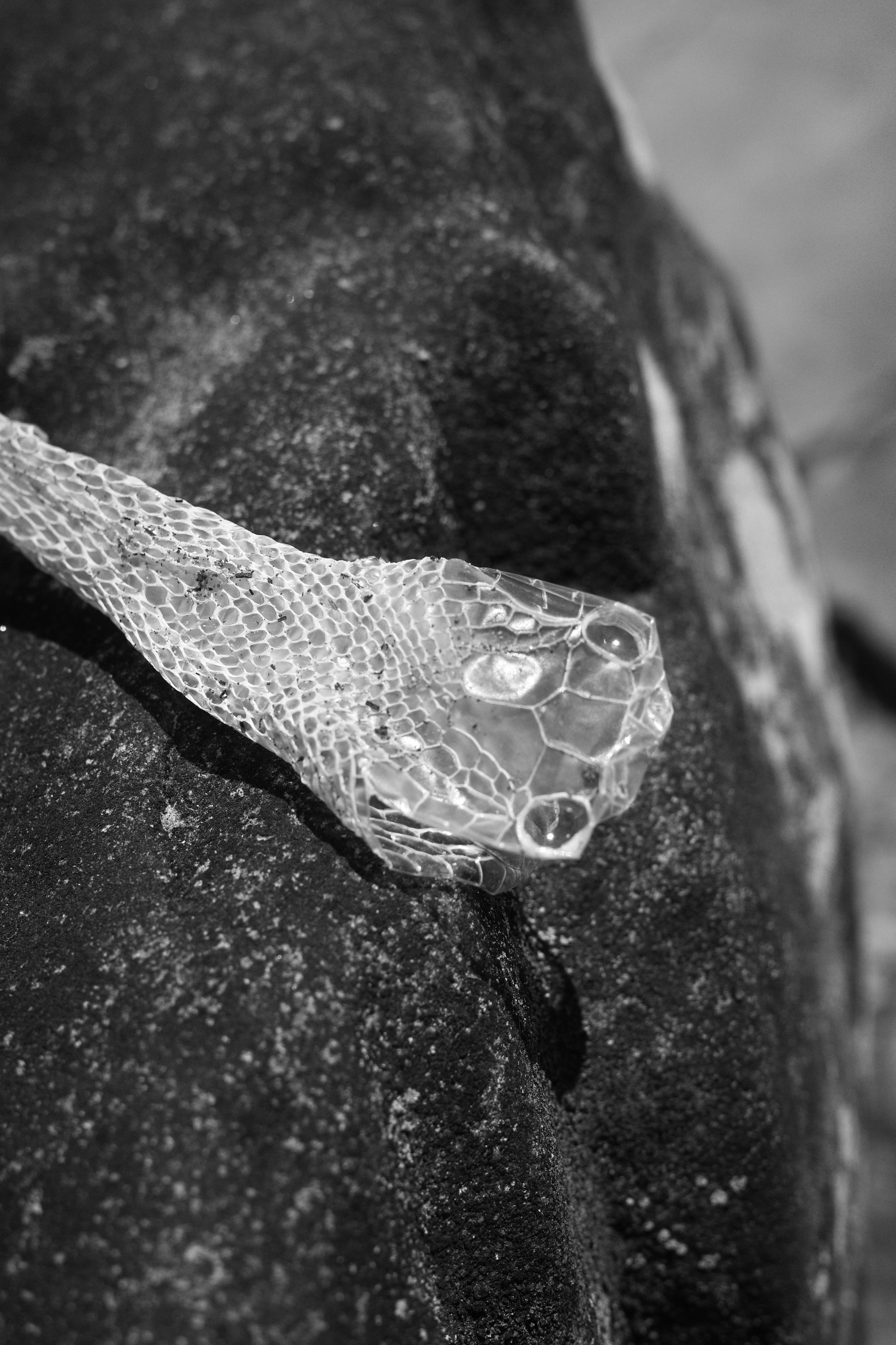 Fragile Ice on Stone: A Close-Up of Crystal Texture on Rough Rock