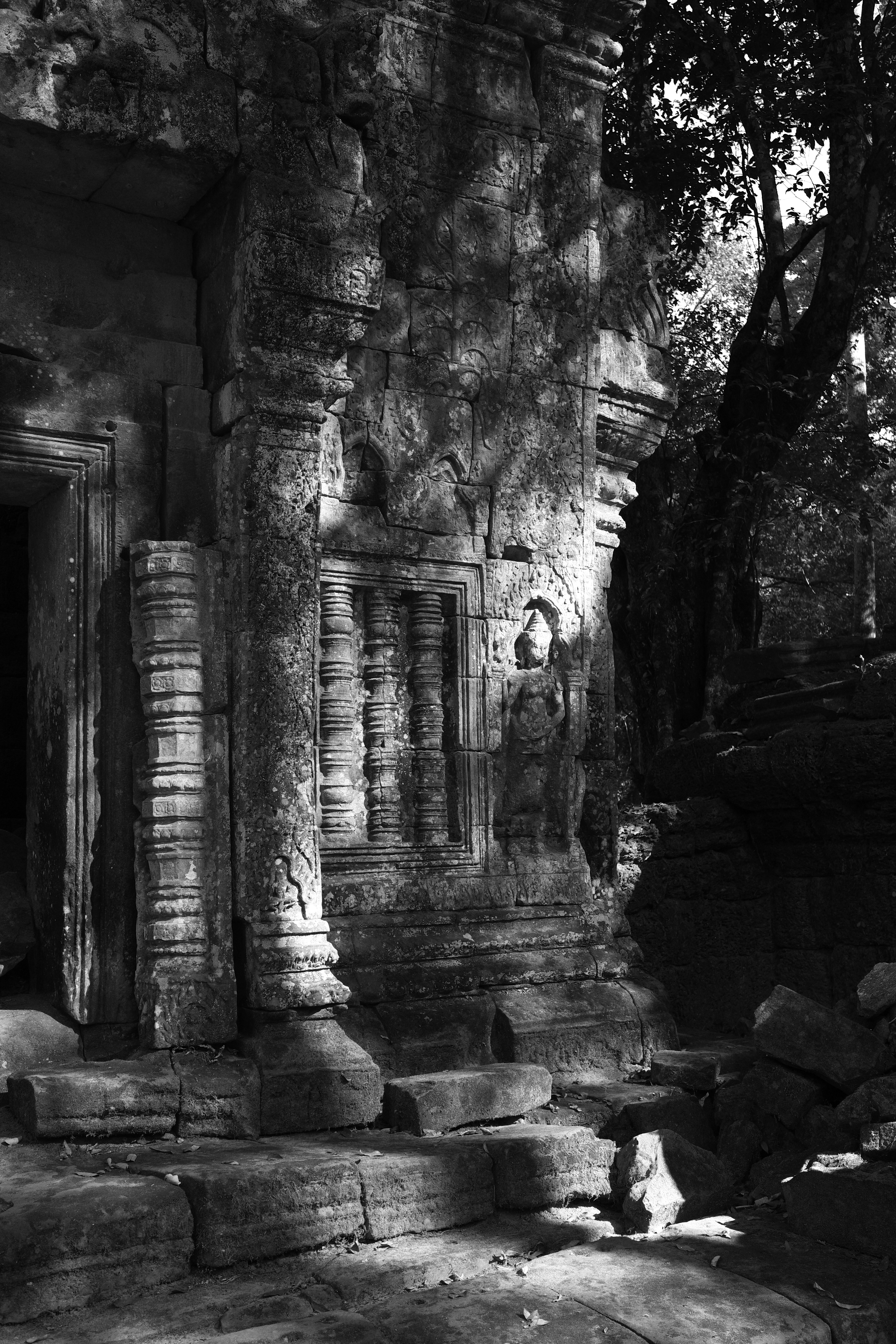 Ancient Stone Carvings Beneath the Canopy