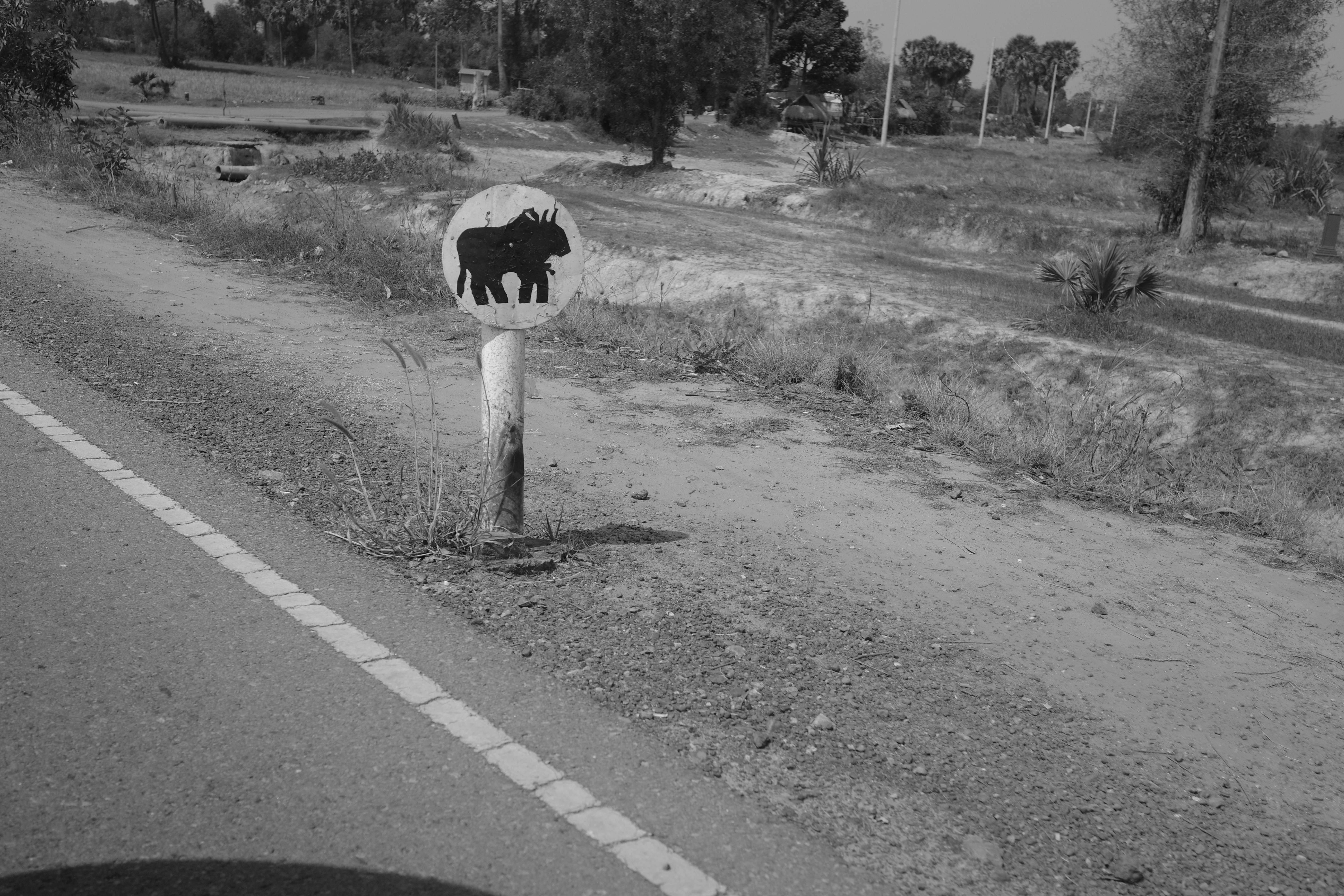 Rural road sign with silhouette moose marking amid dusty landscape