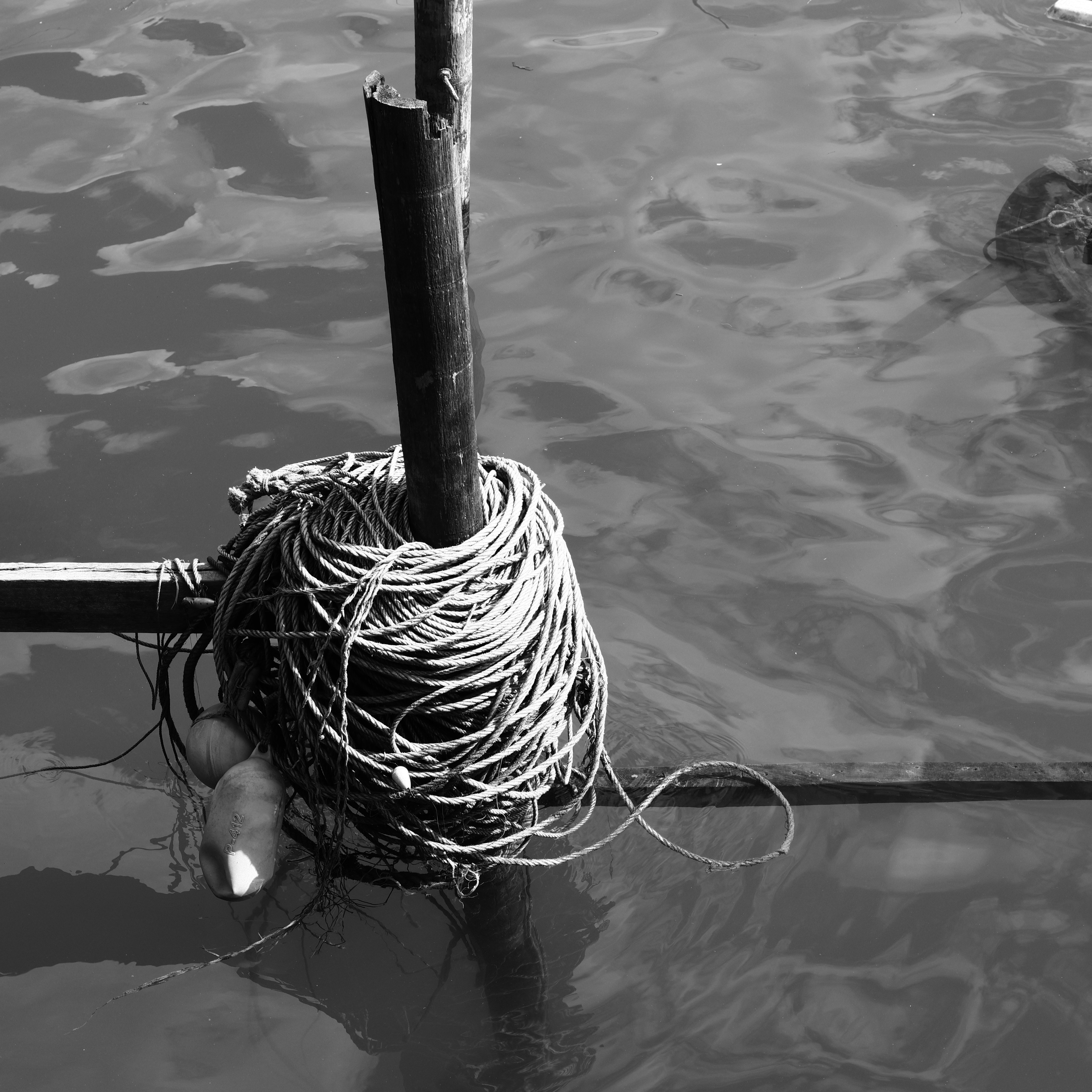 Tethered Coil: A Quiet Anchor in the Water