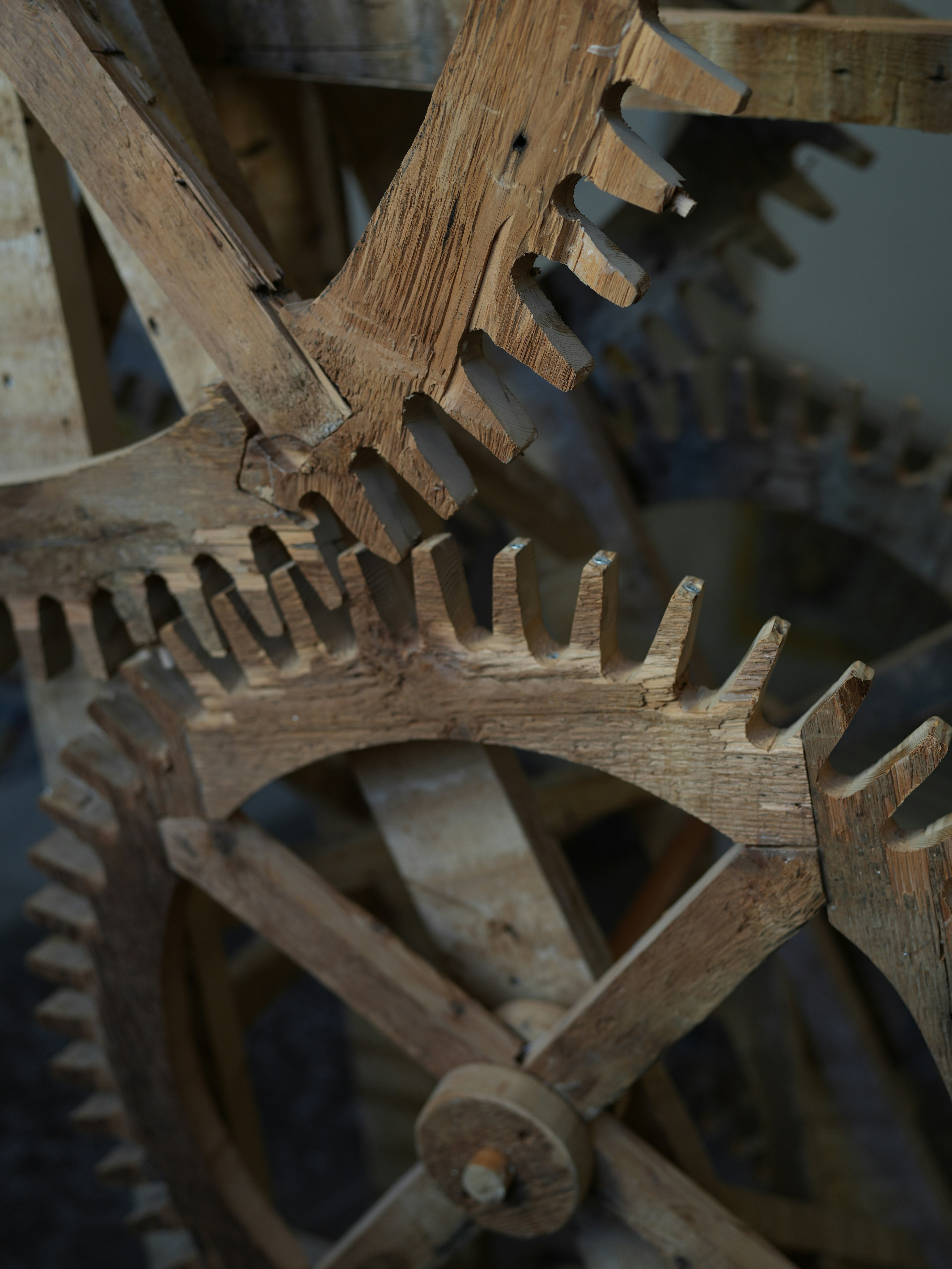 Weathered Gearwork: Interlocking Teeth and Time in Wood