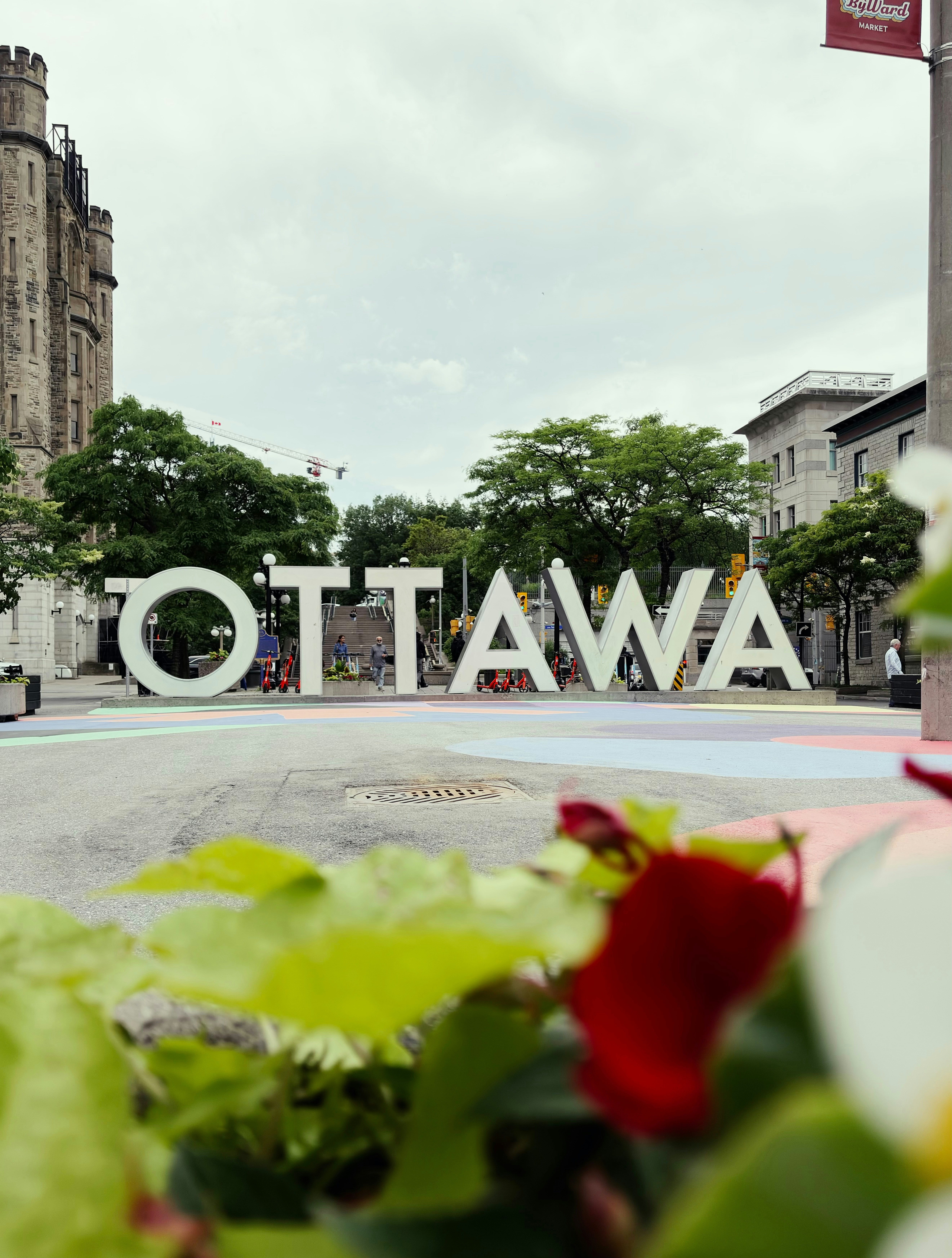 Ottawa’s Welcome to the Meadow: A Bold Street-Side Sign in the City Hall Plaza