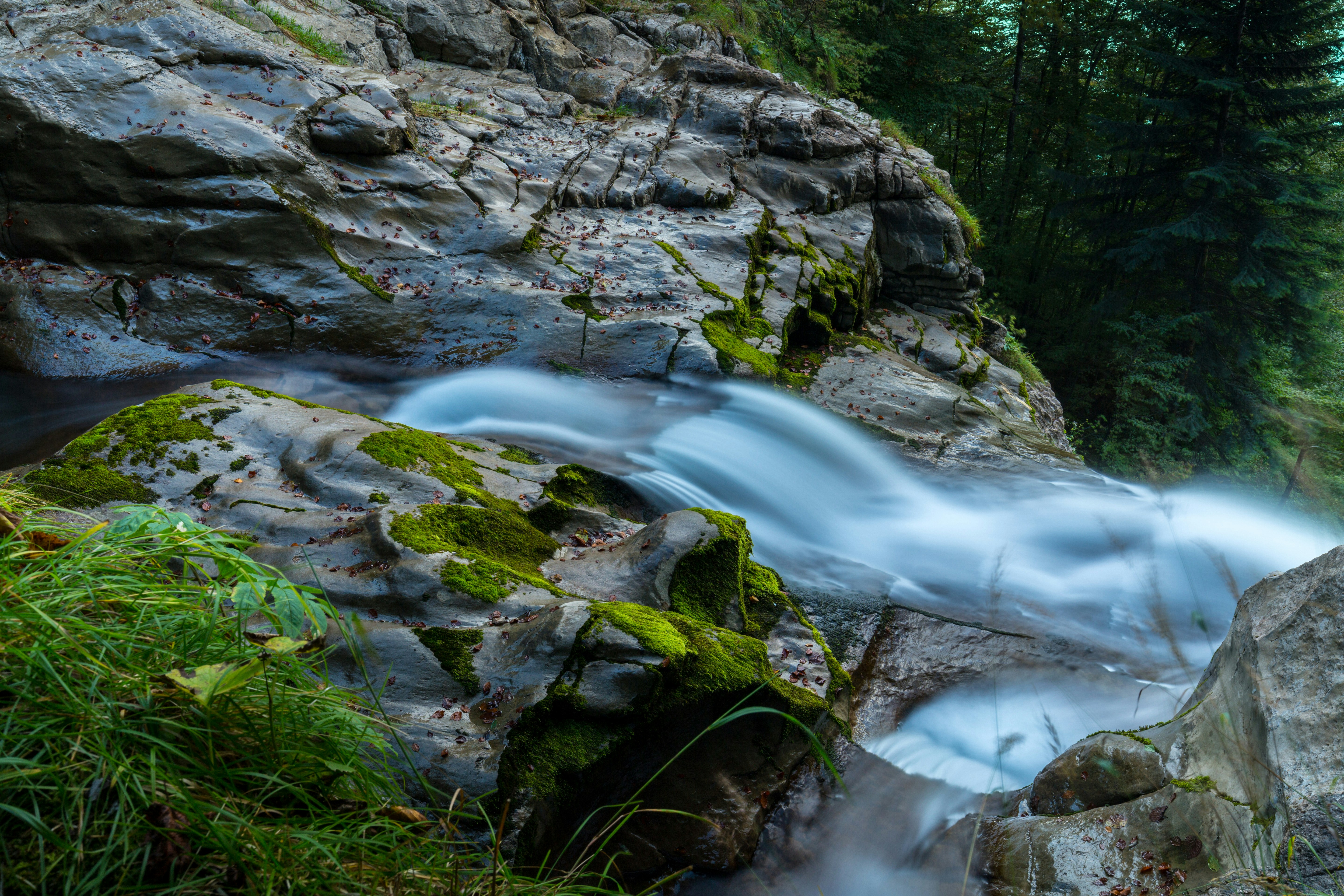 Gaia's Veil: Mossy Cascade Through Rocky Ledge