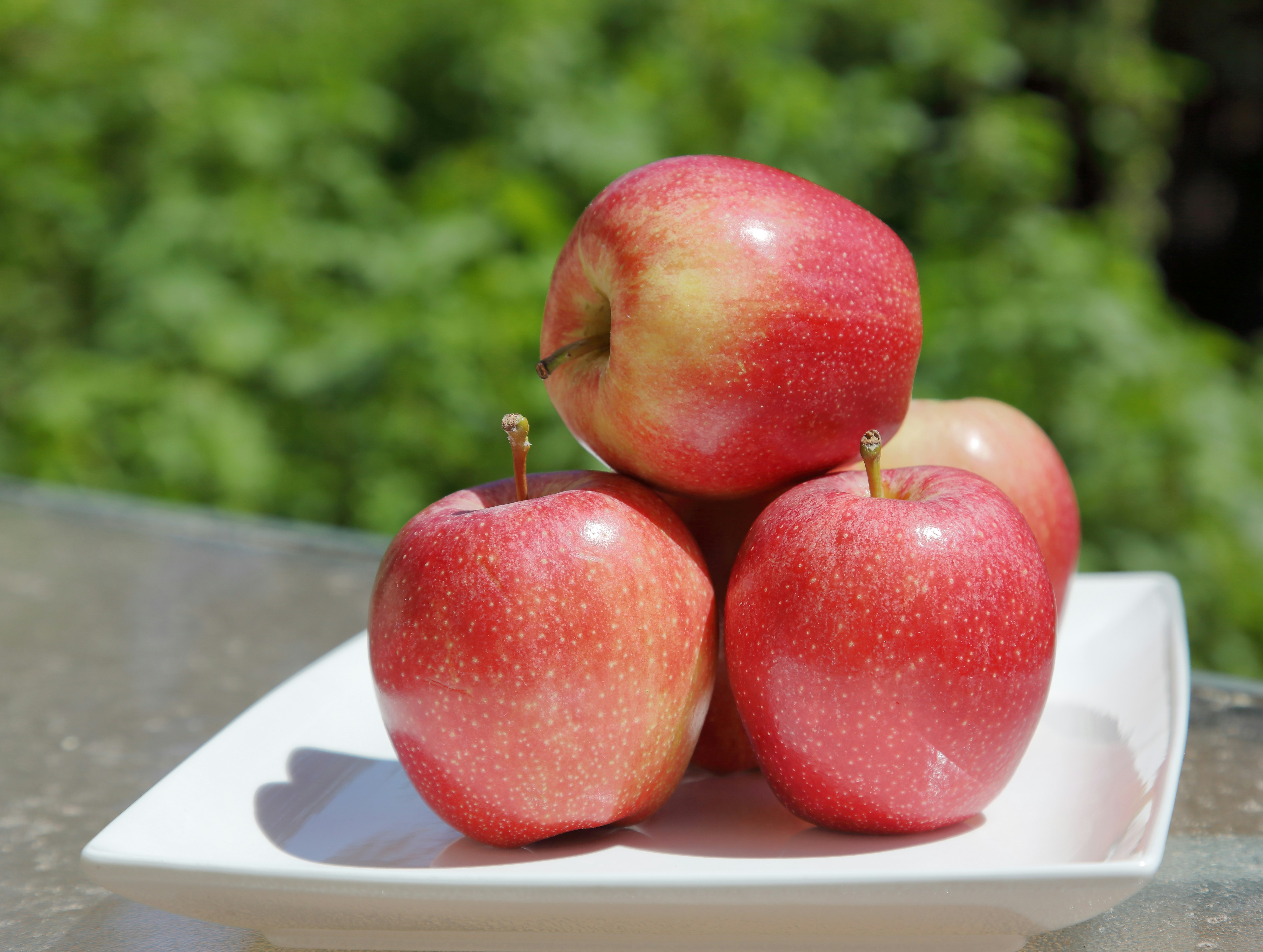 Triple Apple Still Life on White Plate