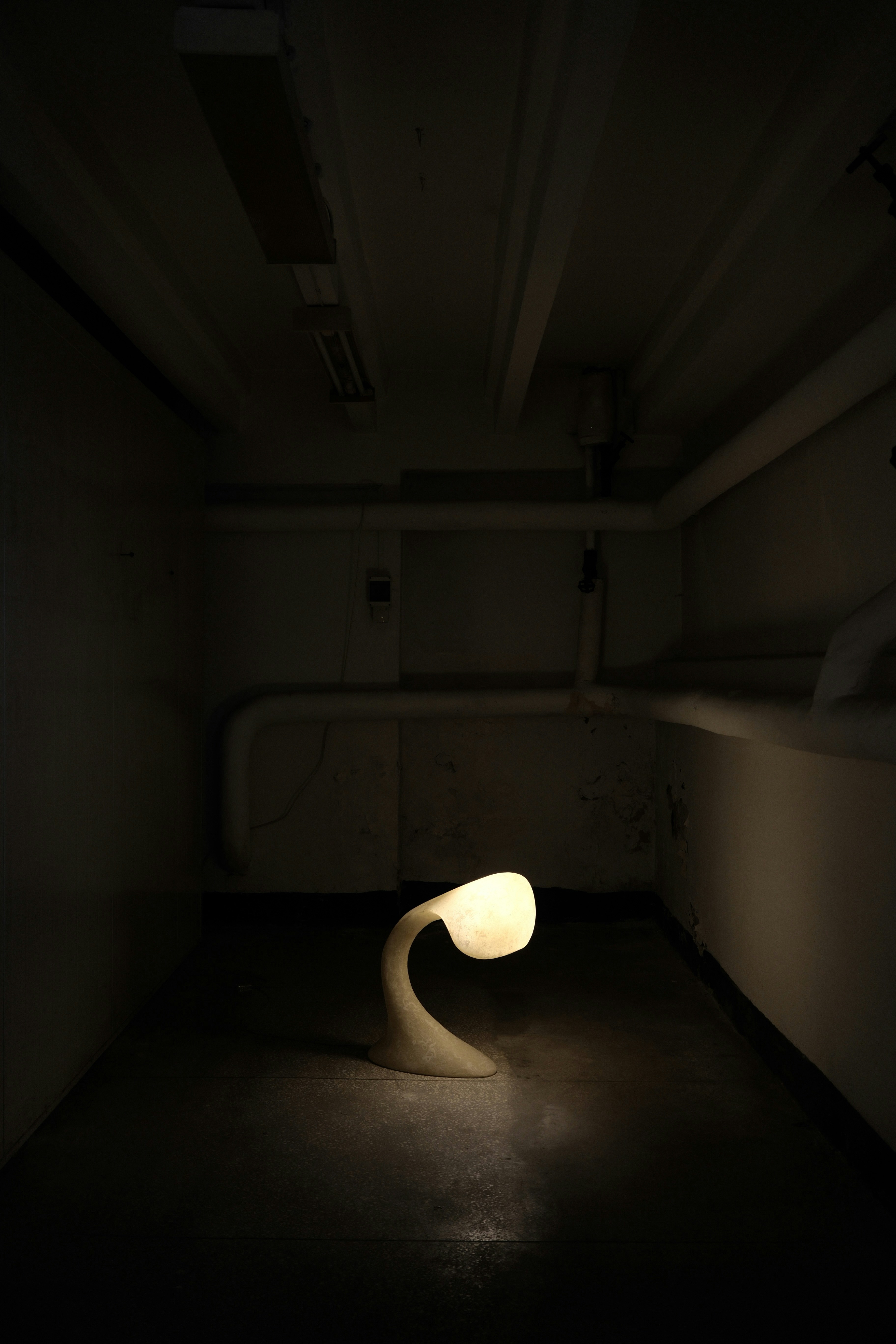 Midnight S-curve: A solitary sculpture in a dim utility alcove