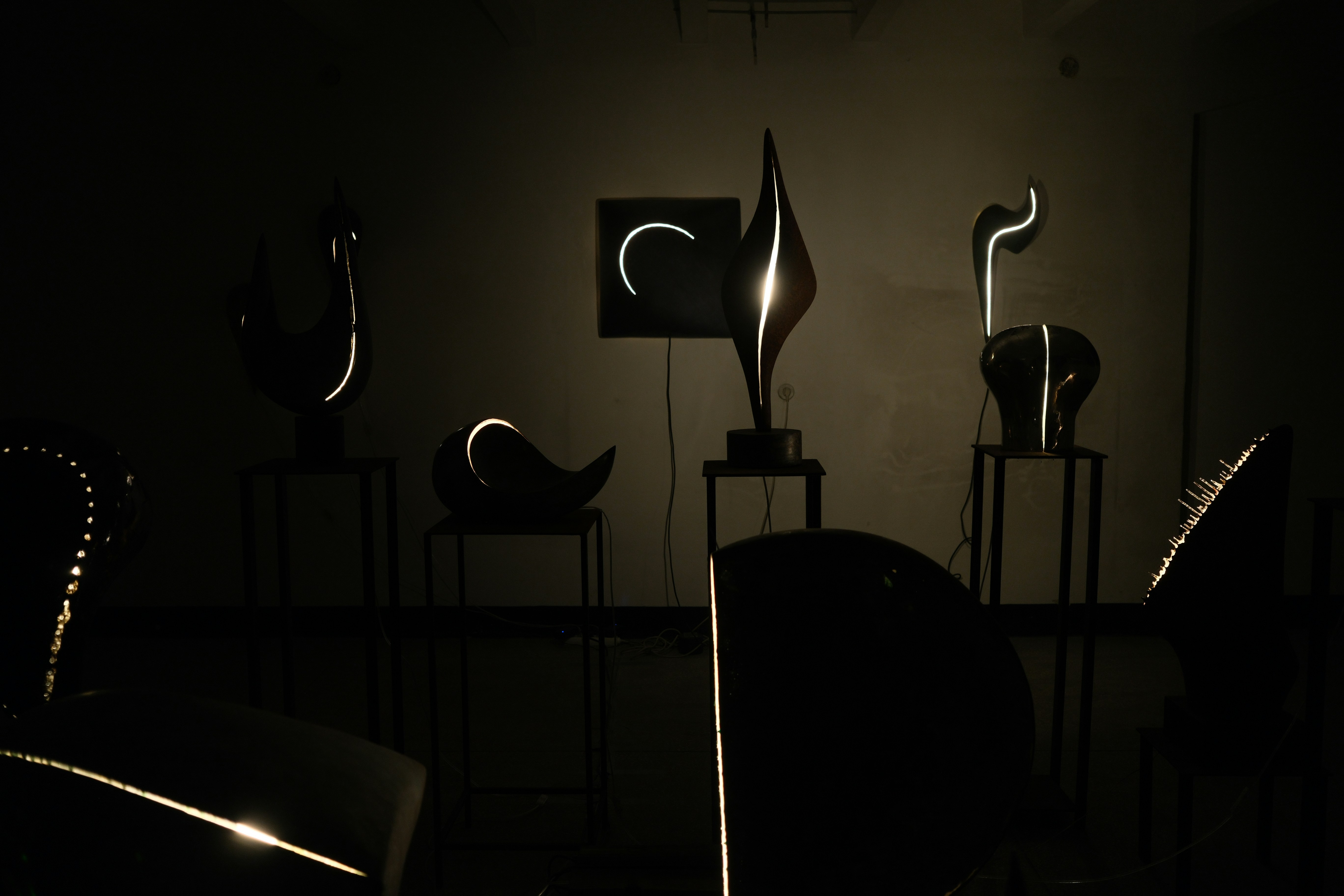Silhouettes in Light: Abstract Sculptures Under Soft Gallery Glow
