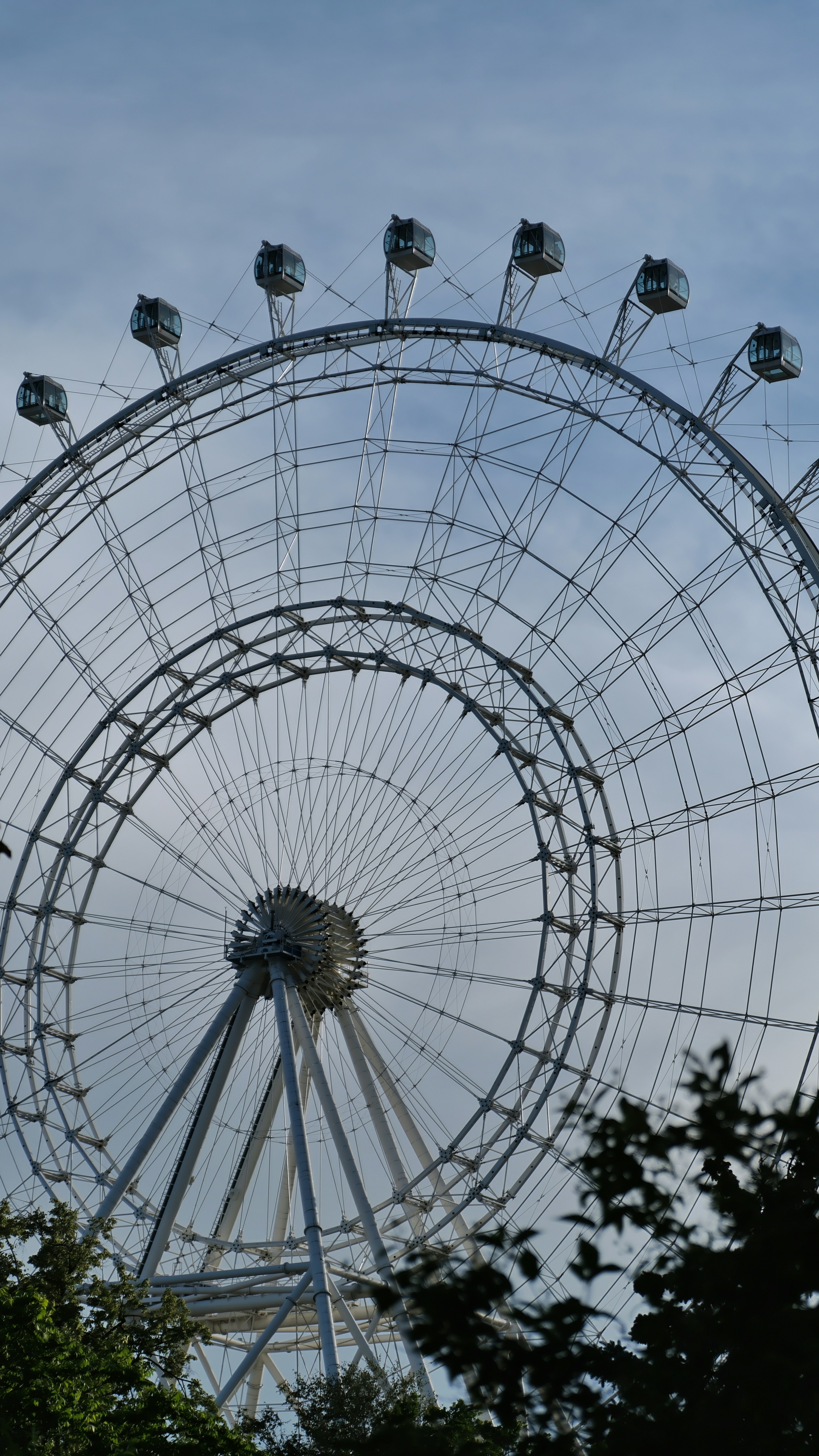Rising Rings: A Skyward Gaze at the City Eye