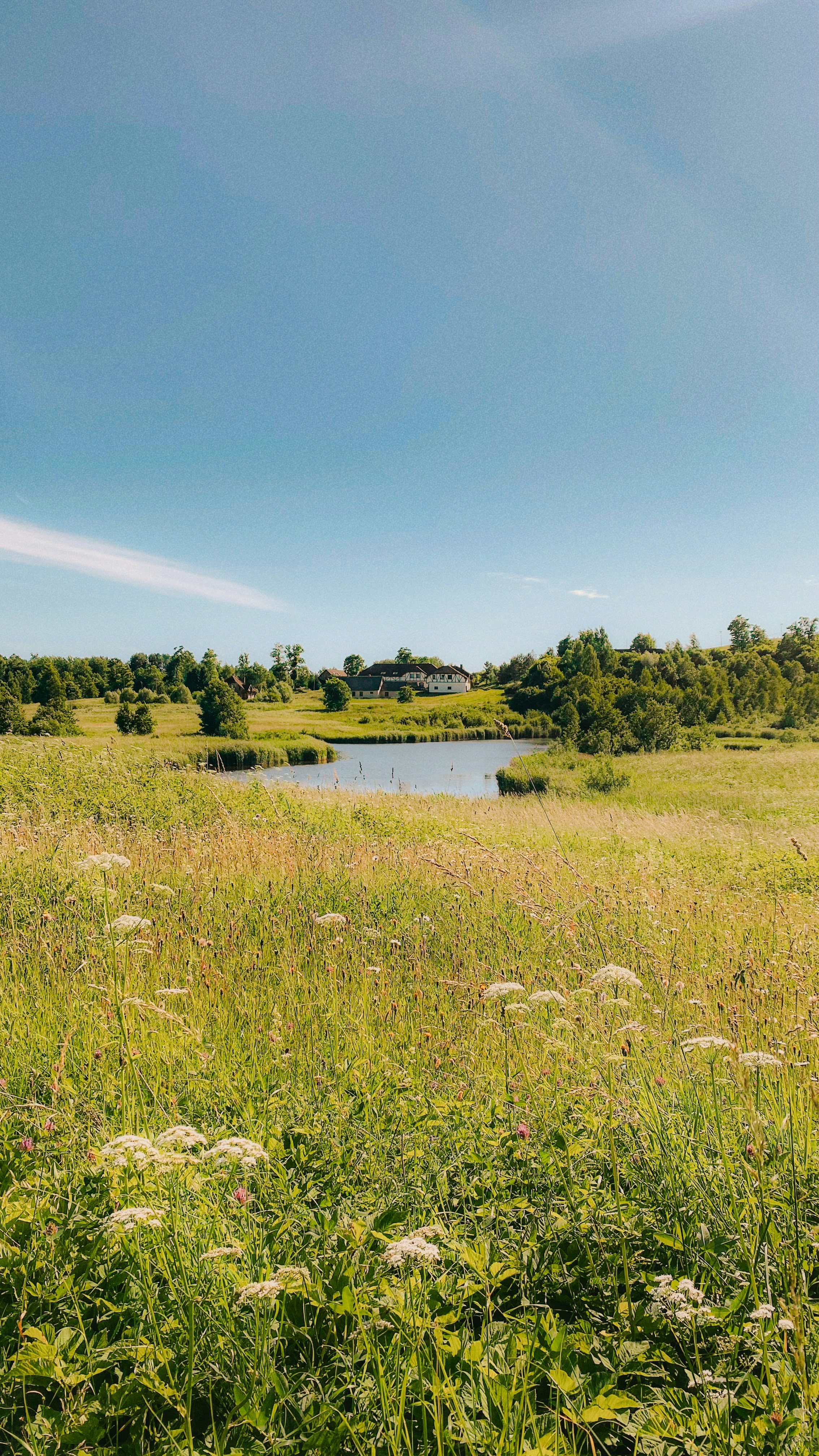 Serene riverside meadow with distant farmhouse under clear sky