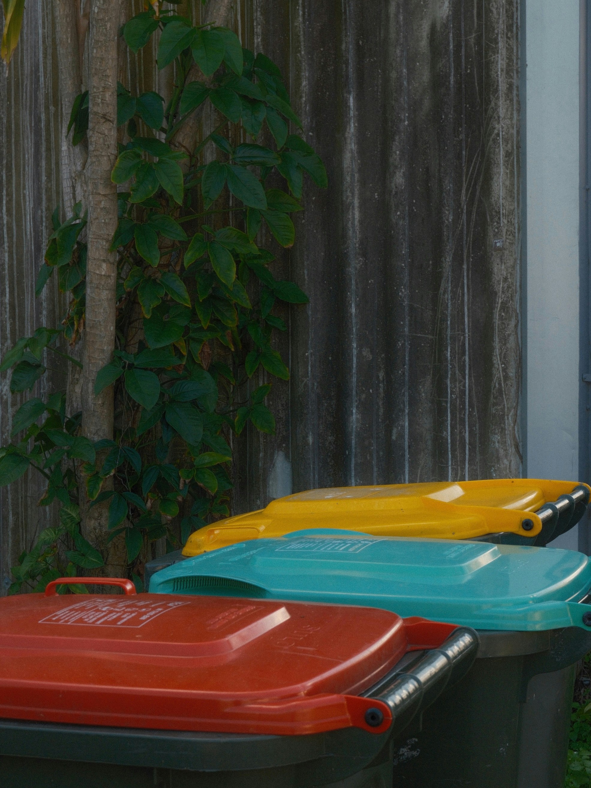 Colorful Waste Pause: A Row of Bins Against a Green Wall