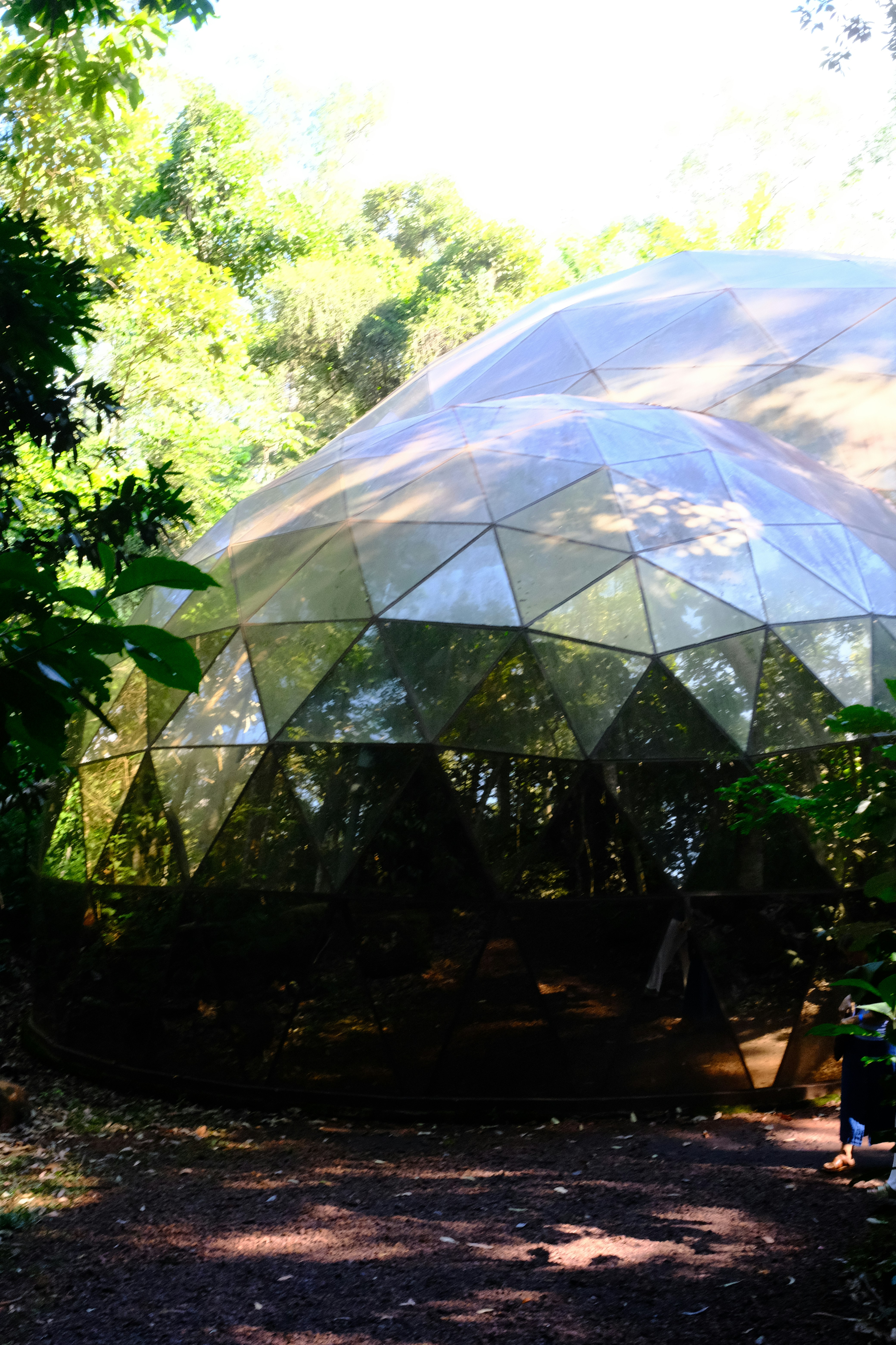 Modern geodesic dome structure surrounded by lush green trees.