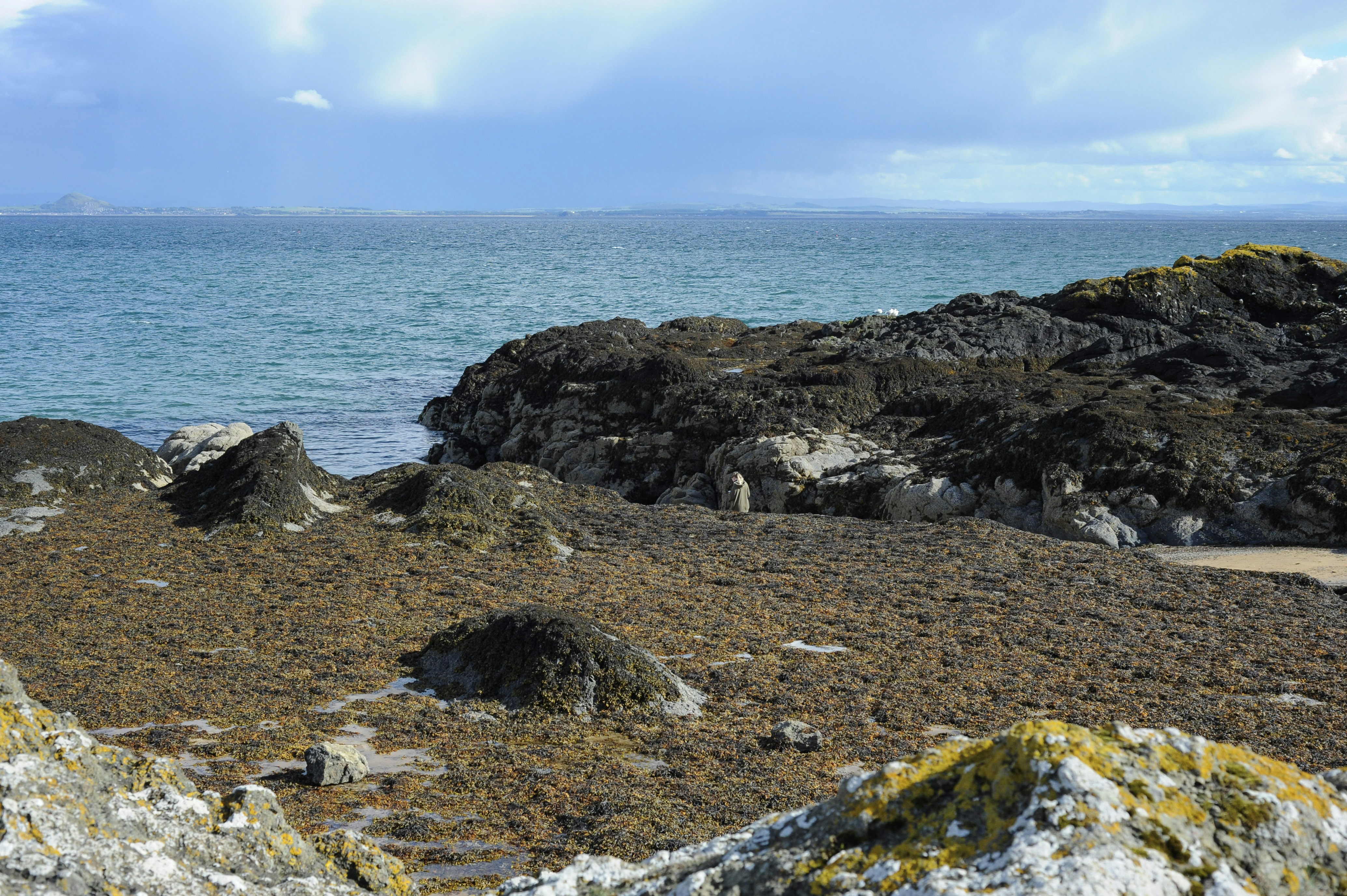 Coastal Rocks and Sea Horizon under Quiet Skies
