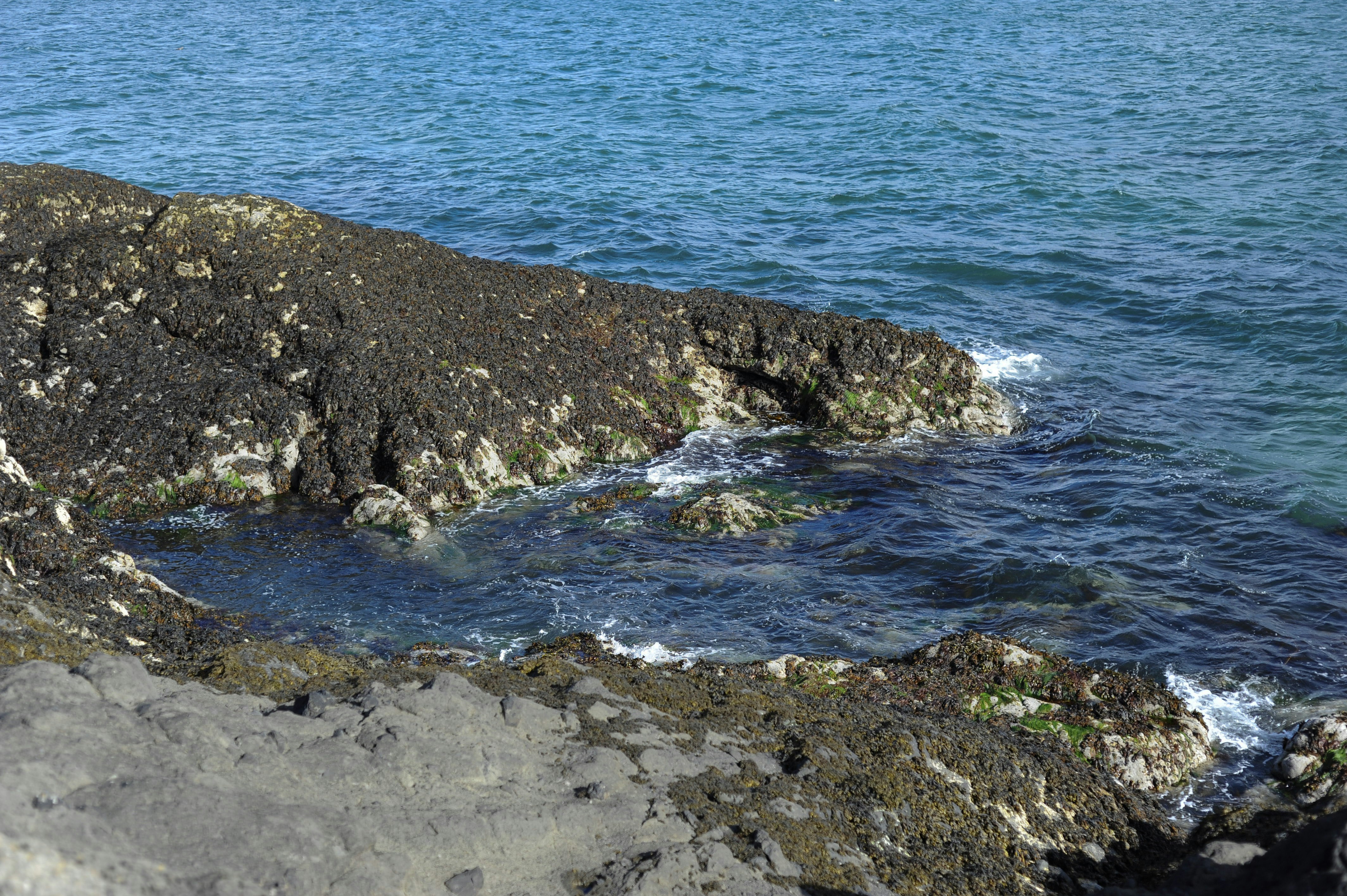 Coastal Ledge Where Sea Meets Stone