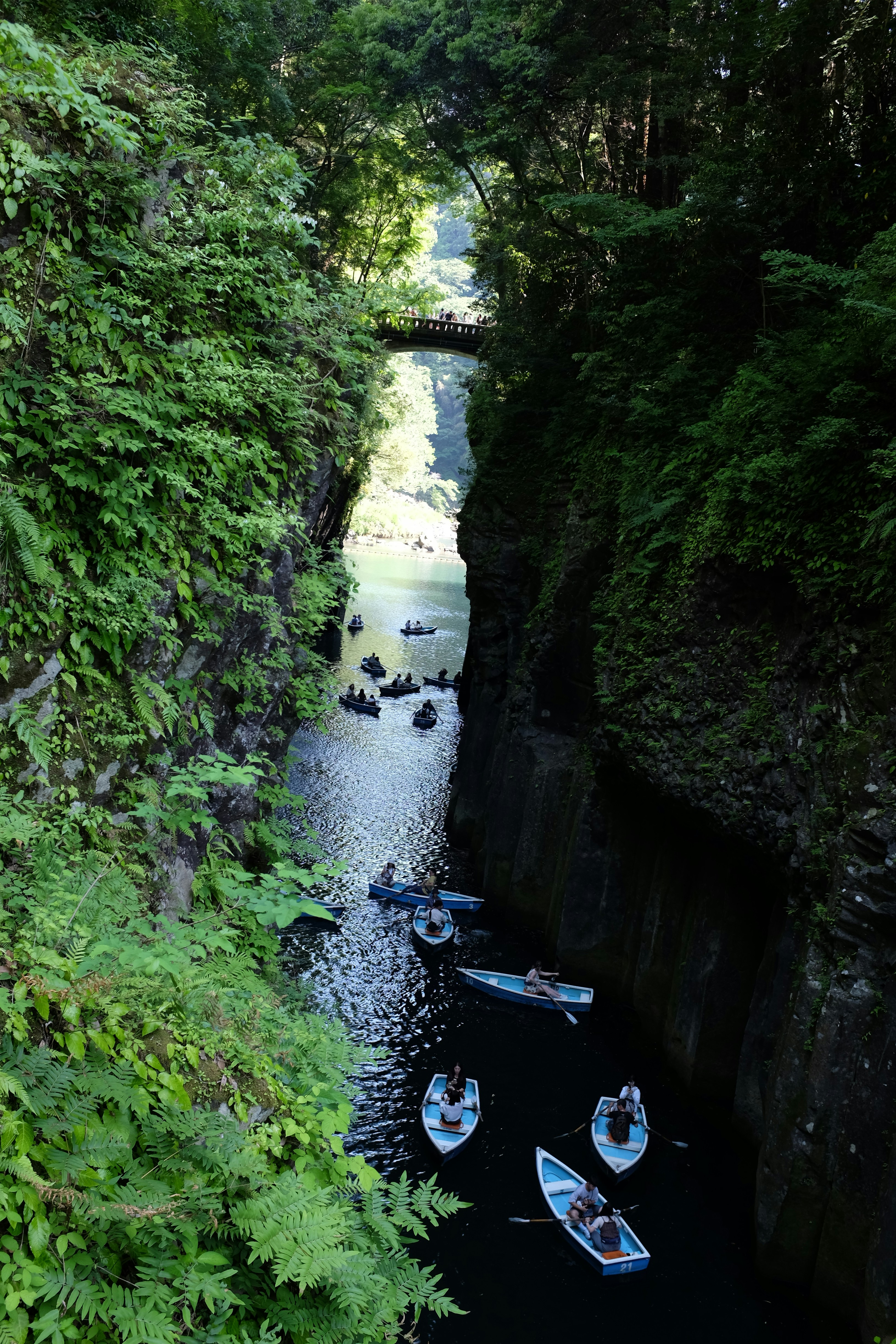 Dense green walls frame a narrow river with small boats clustered along the waterway, a bridge visible overhead in a lush canyon. A natural, tranquil scene highlighting waterways and greenery.