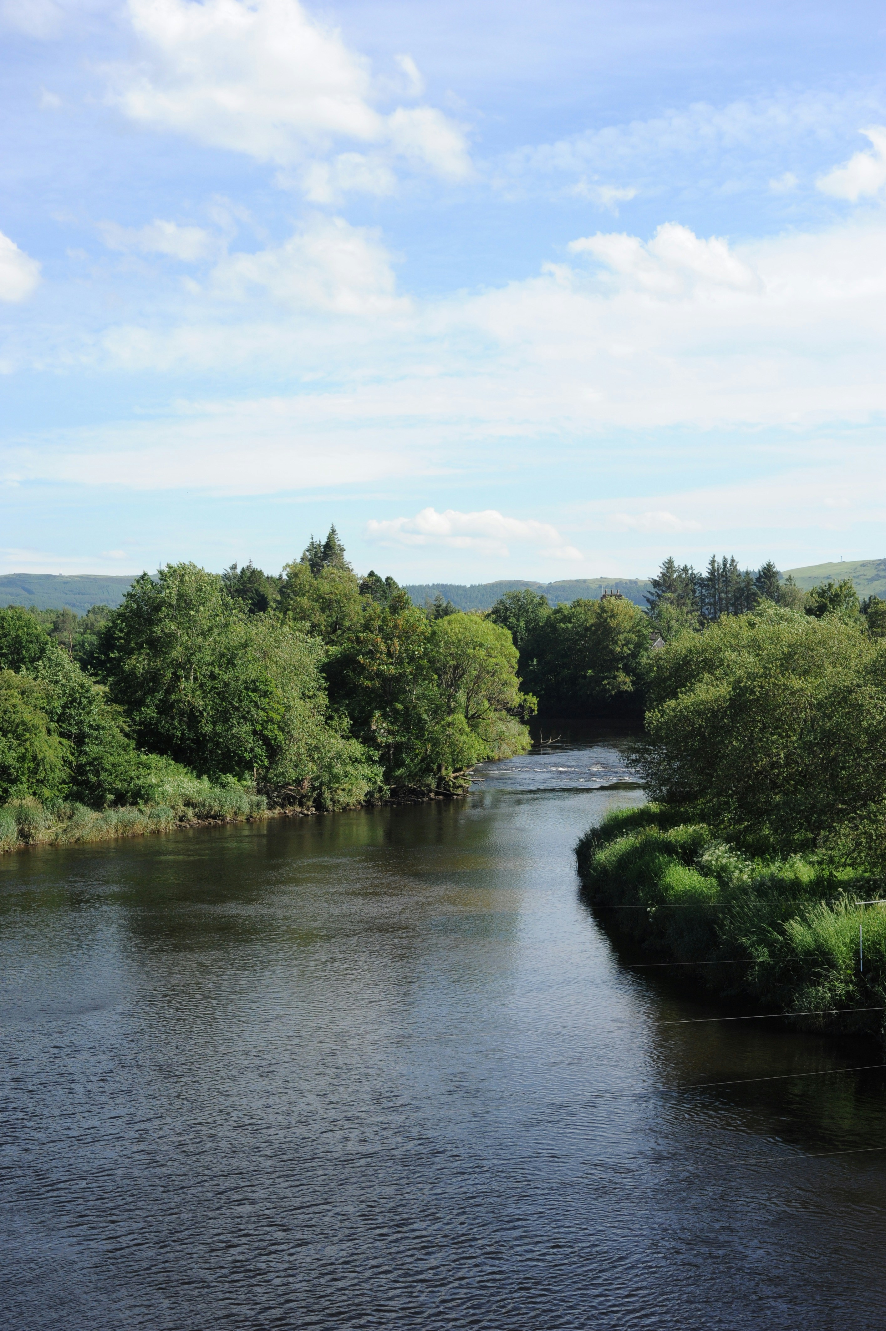 River bend whispers through green riverside