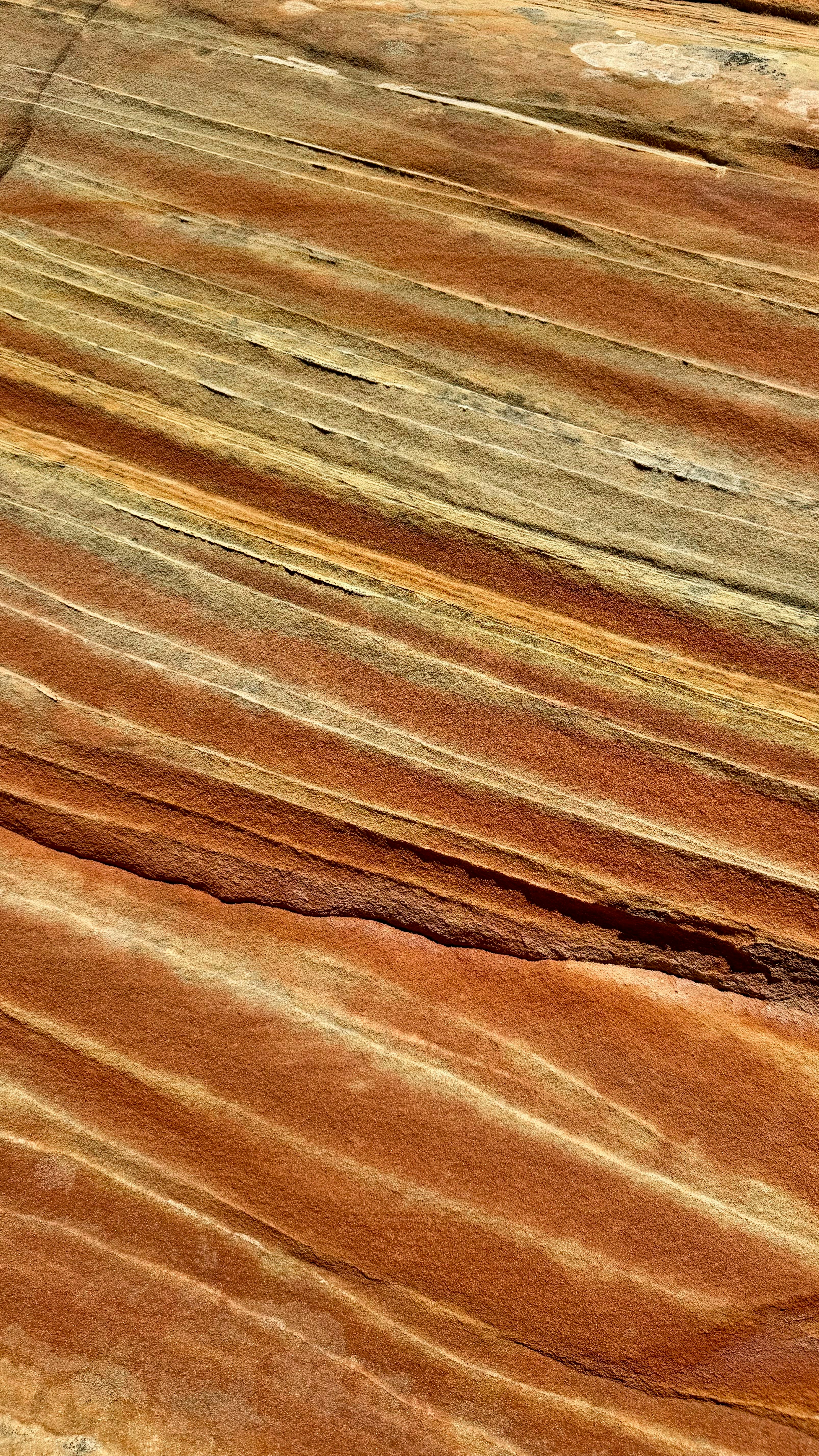 Tide-Washed Strata: Rust-Copper Lines Run Across a Weathered Rock Face