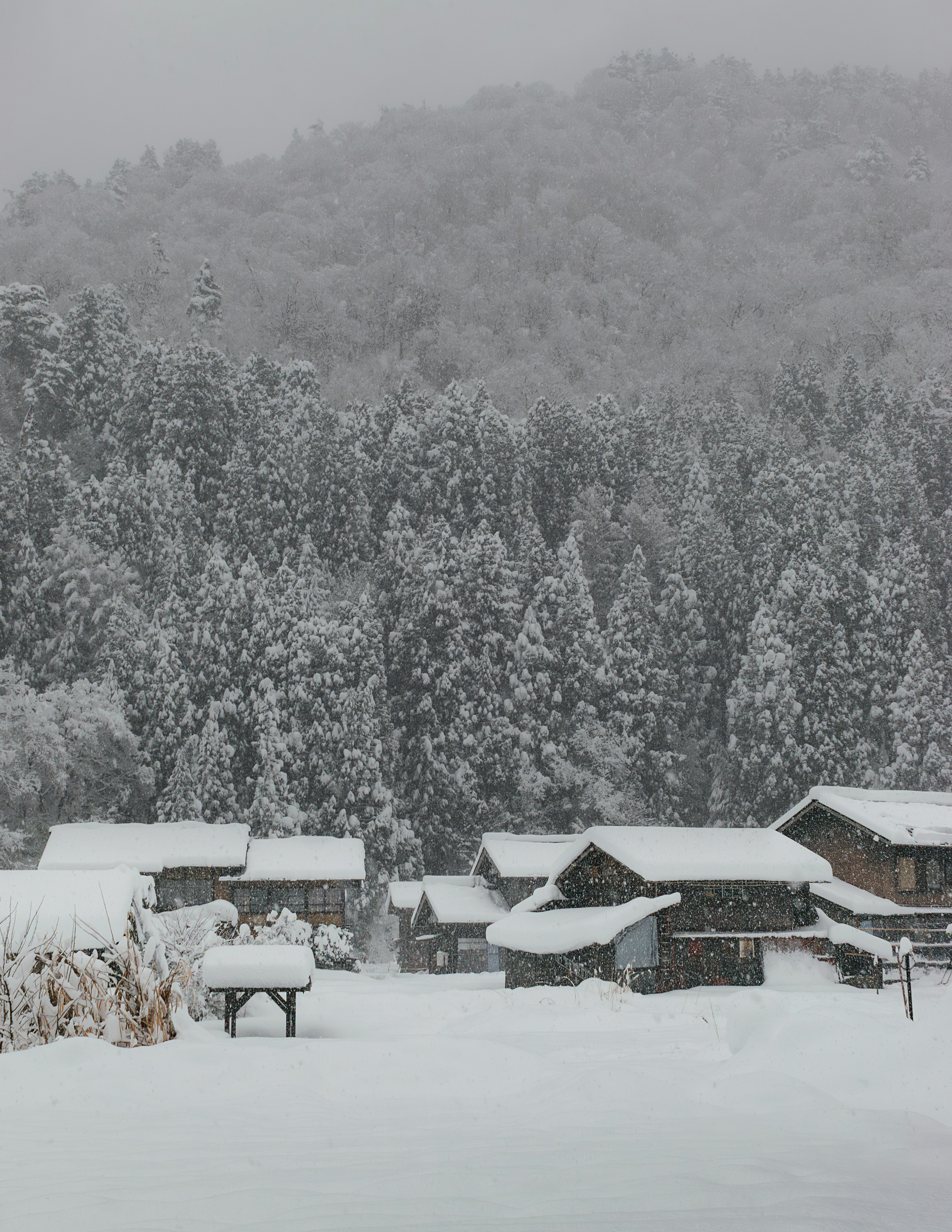 Snowbound Village Beneath a Quiet Range