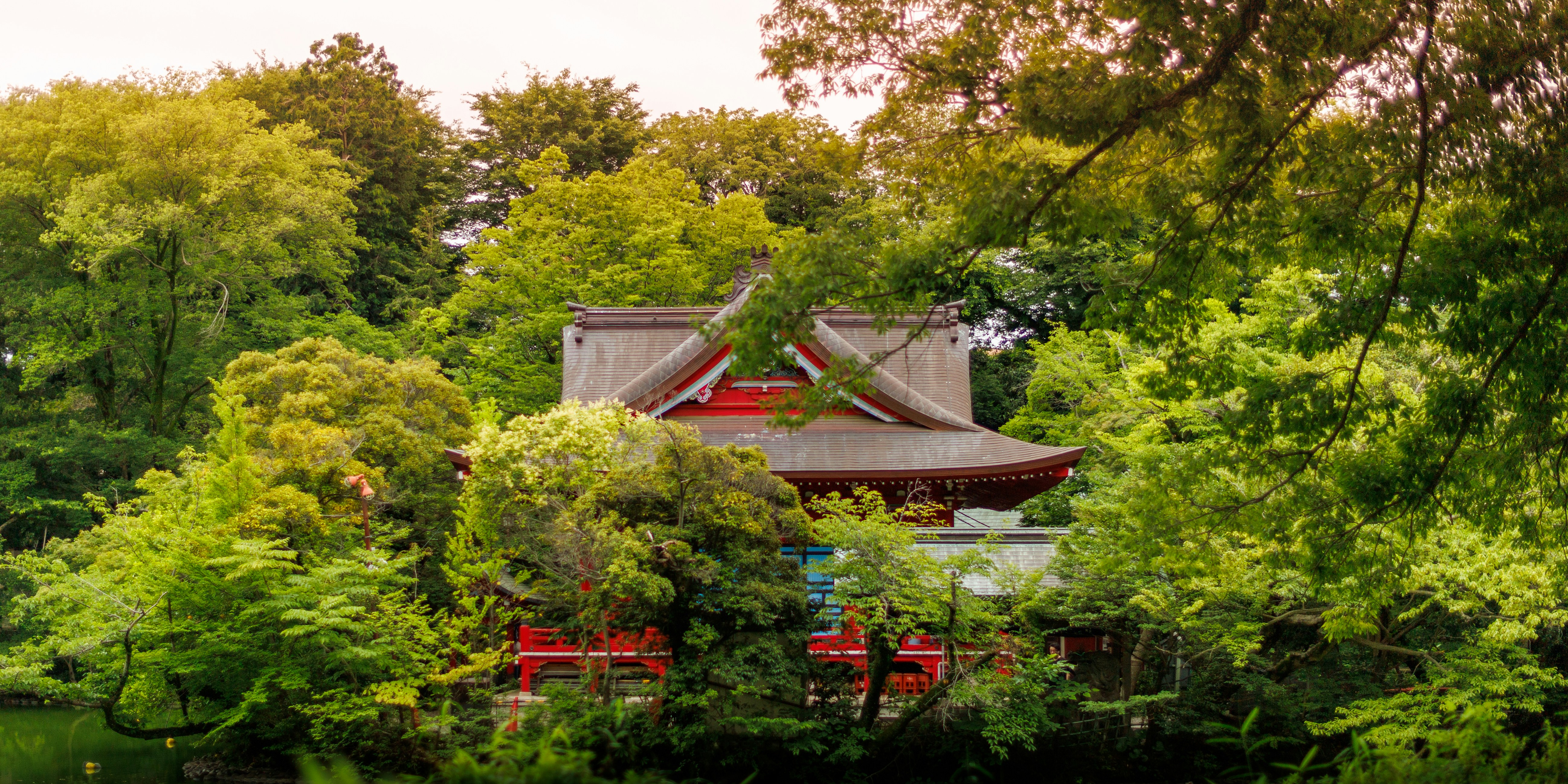 Red-roofed Temple Nestled Among Green Canopy