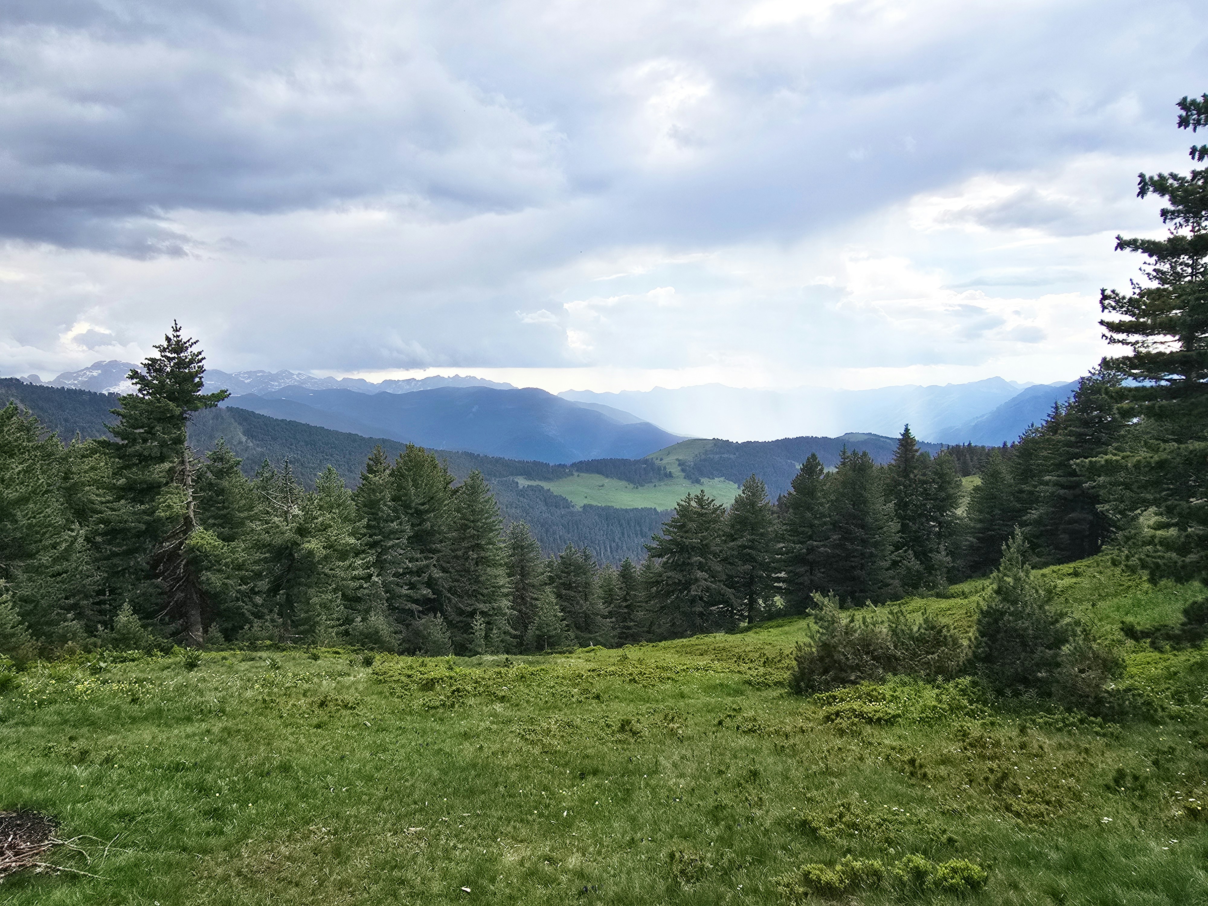 Verdant Ridge: A Quiet Meadow Meeting the Sky