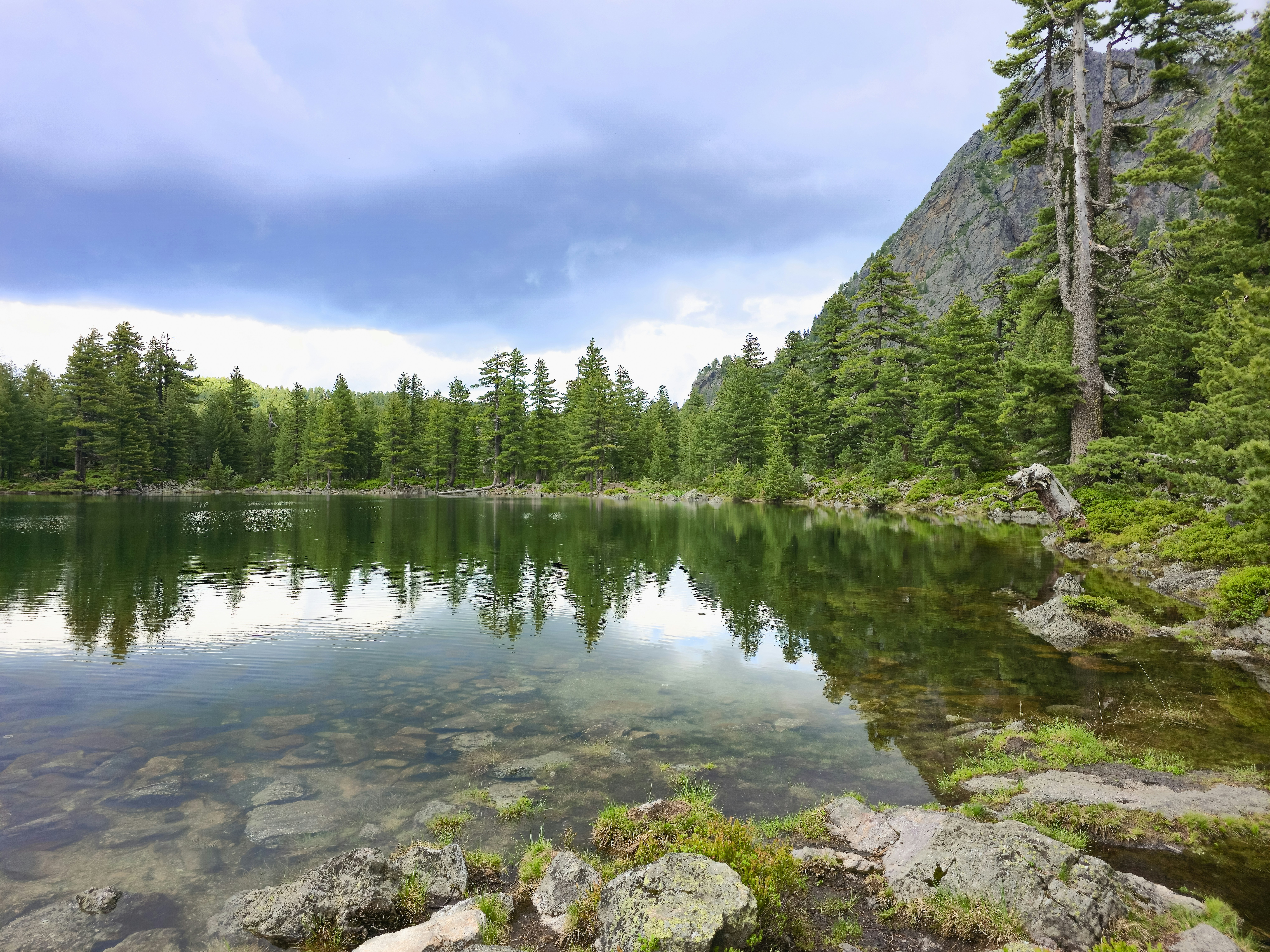Serene Alpine Mirror: A Luminous Lake Surrounded by Conifers