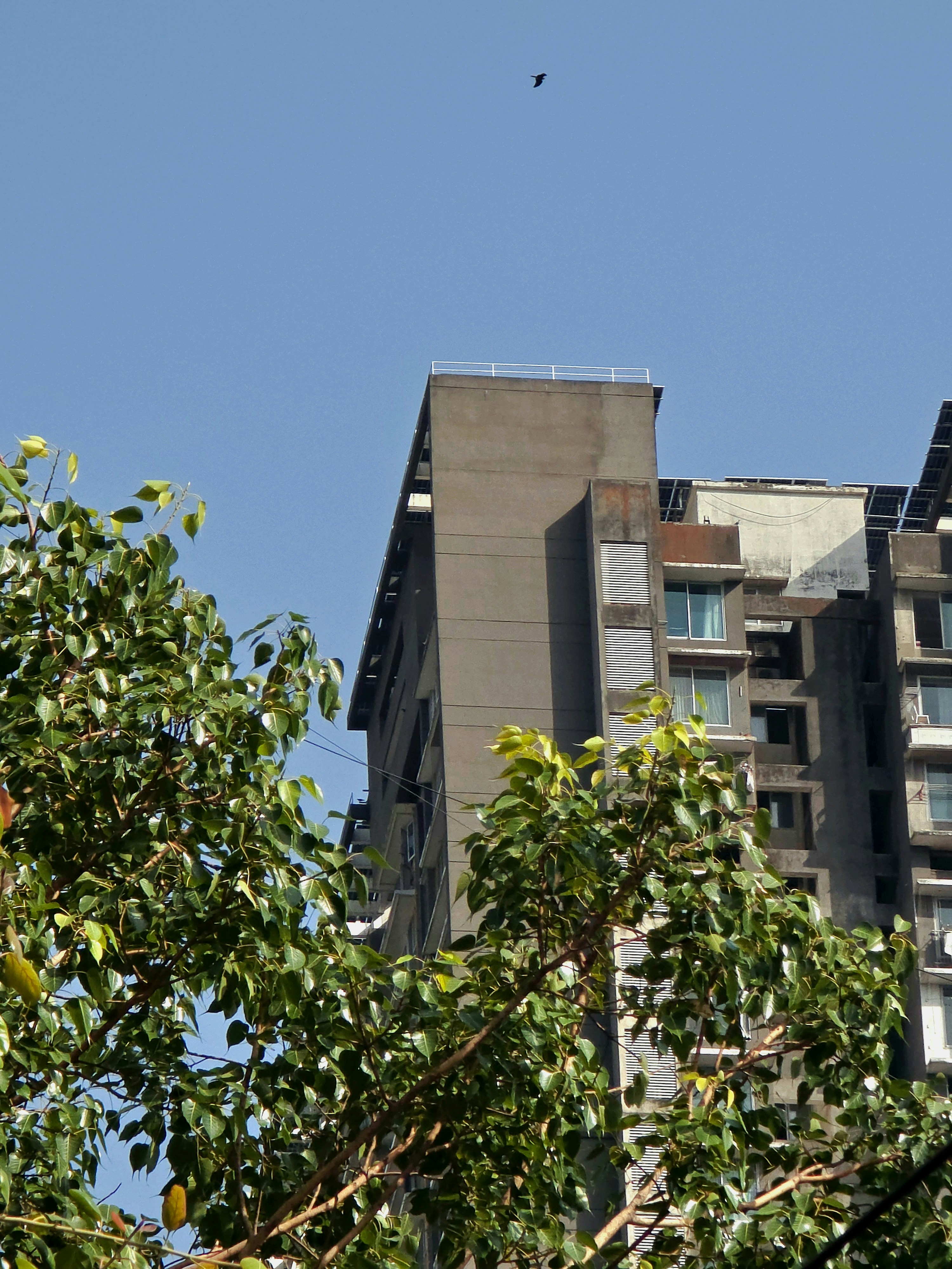 Skyline Courage: A Crane of Concrete and Leaves Beneath a Clear Blue