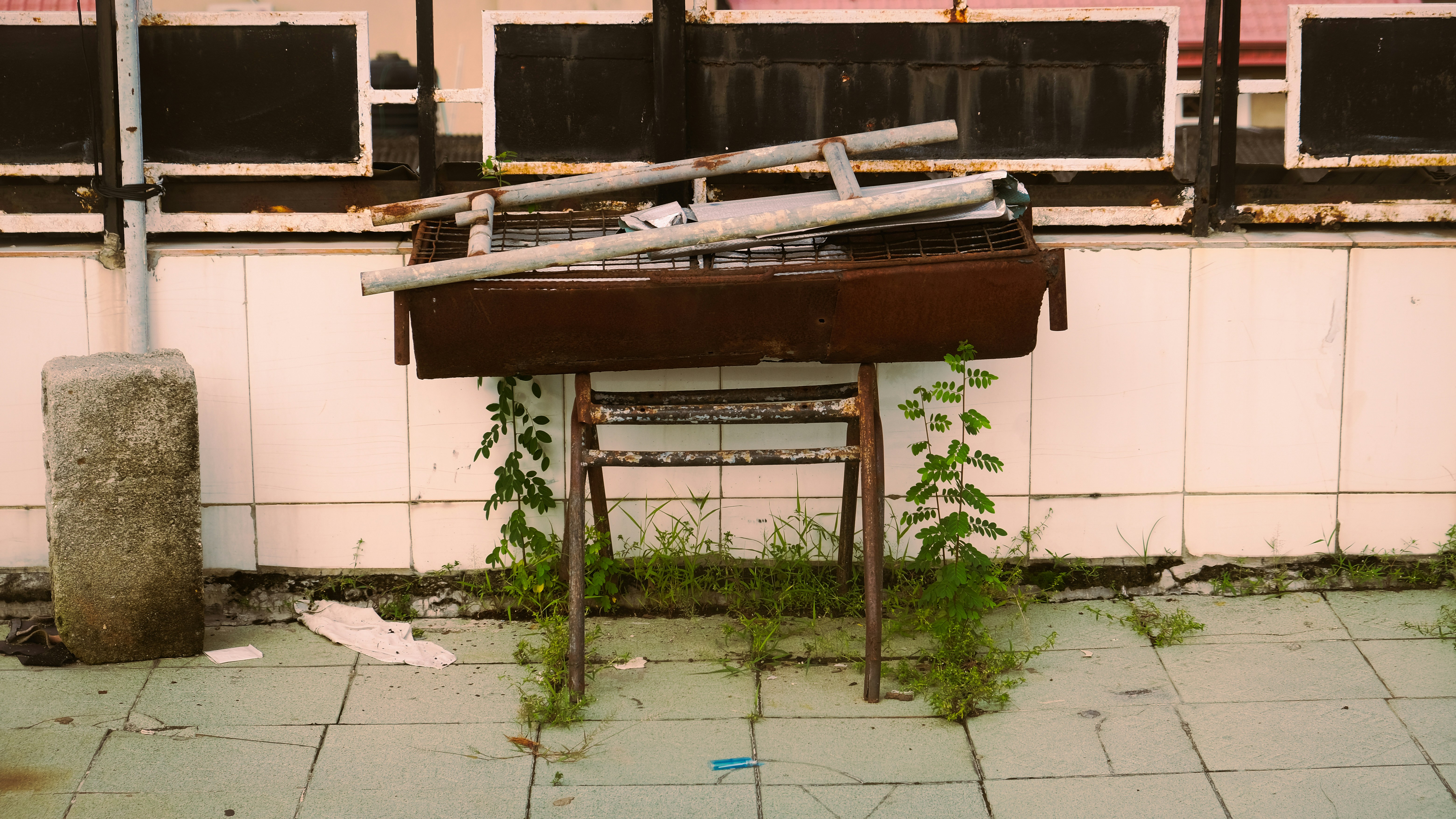 Weeds Break Through the Old School Desk