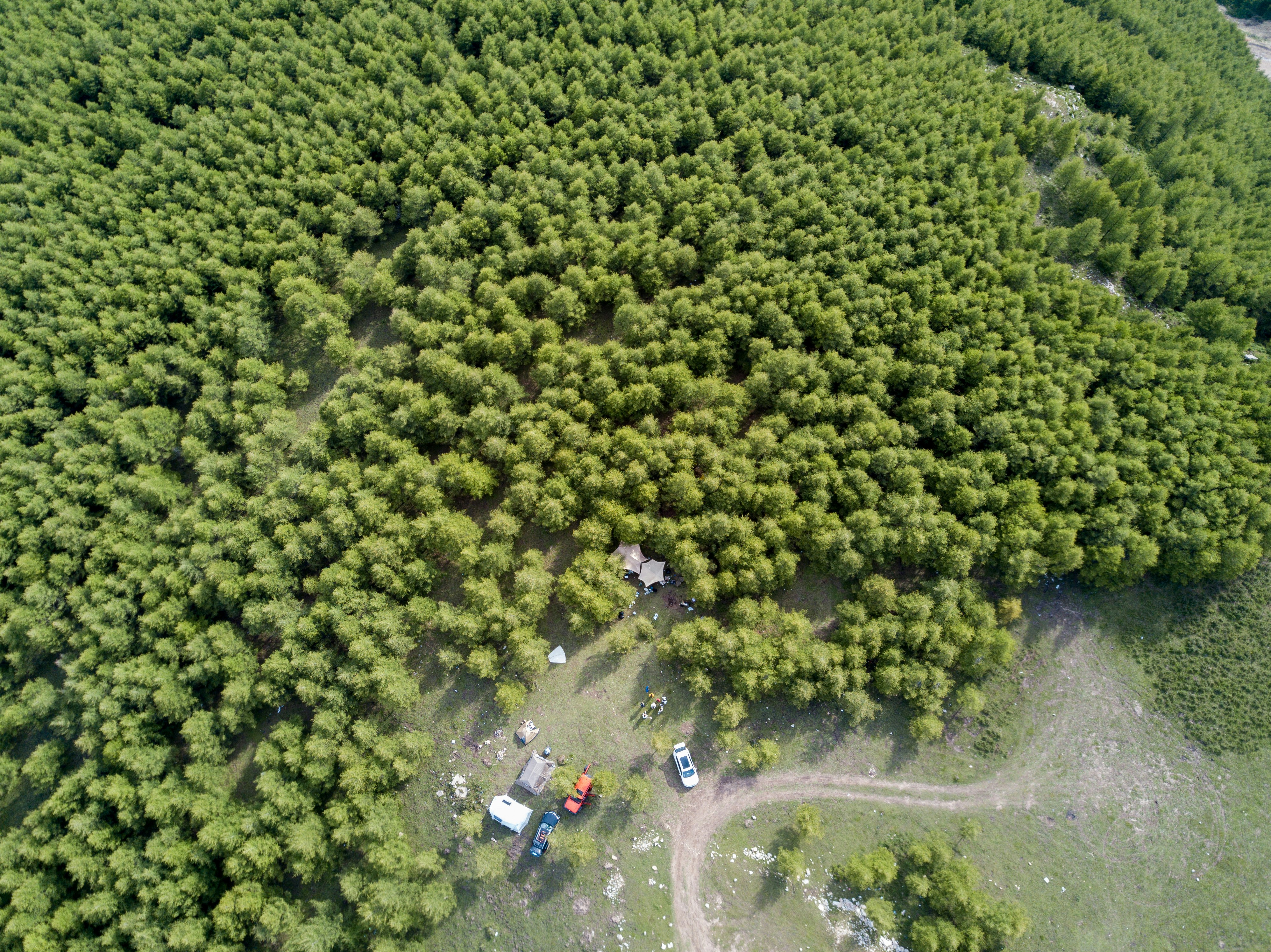 Aerial view of a small campsite nestled within a dense pine forest, with a winding path and several vehicles parked near a clearing.