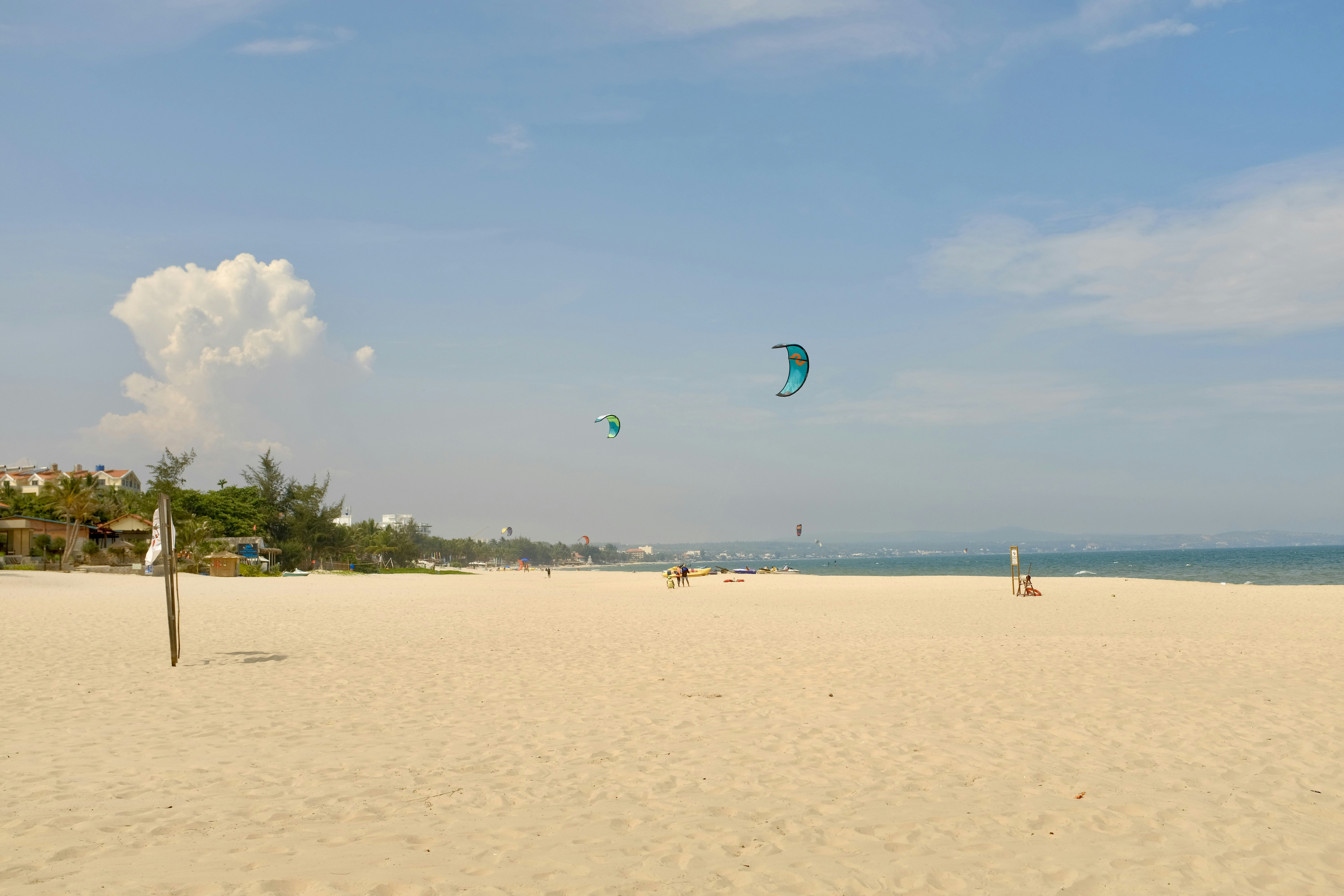 Kite-Swept Shoreline at Midday