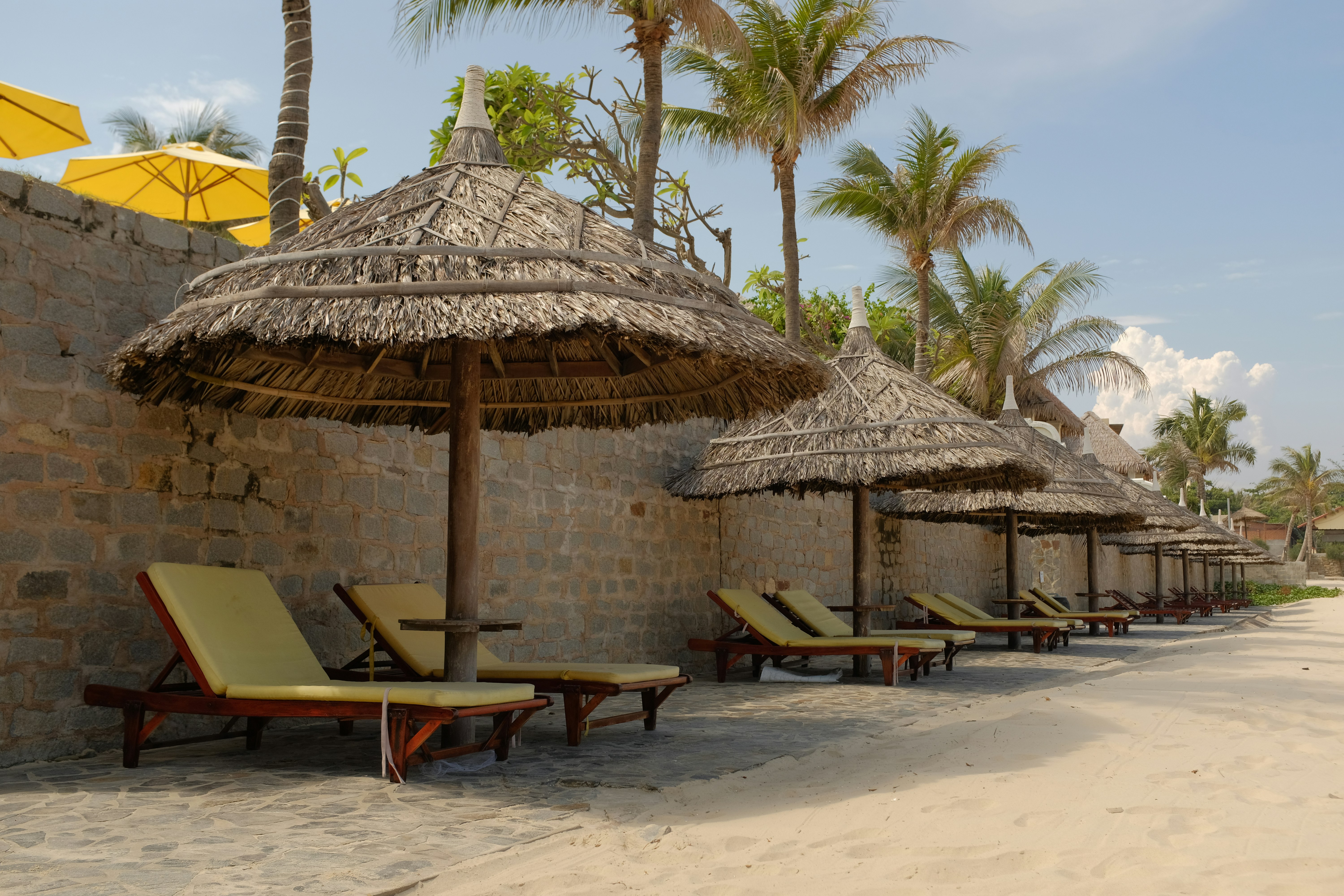 Row of thatch umbrellas and lounge chairs lining a tropical beach