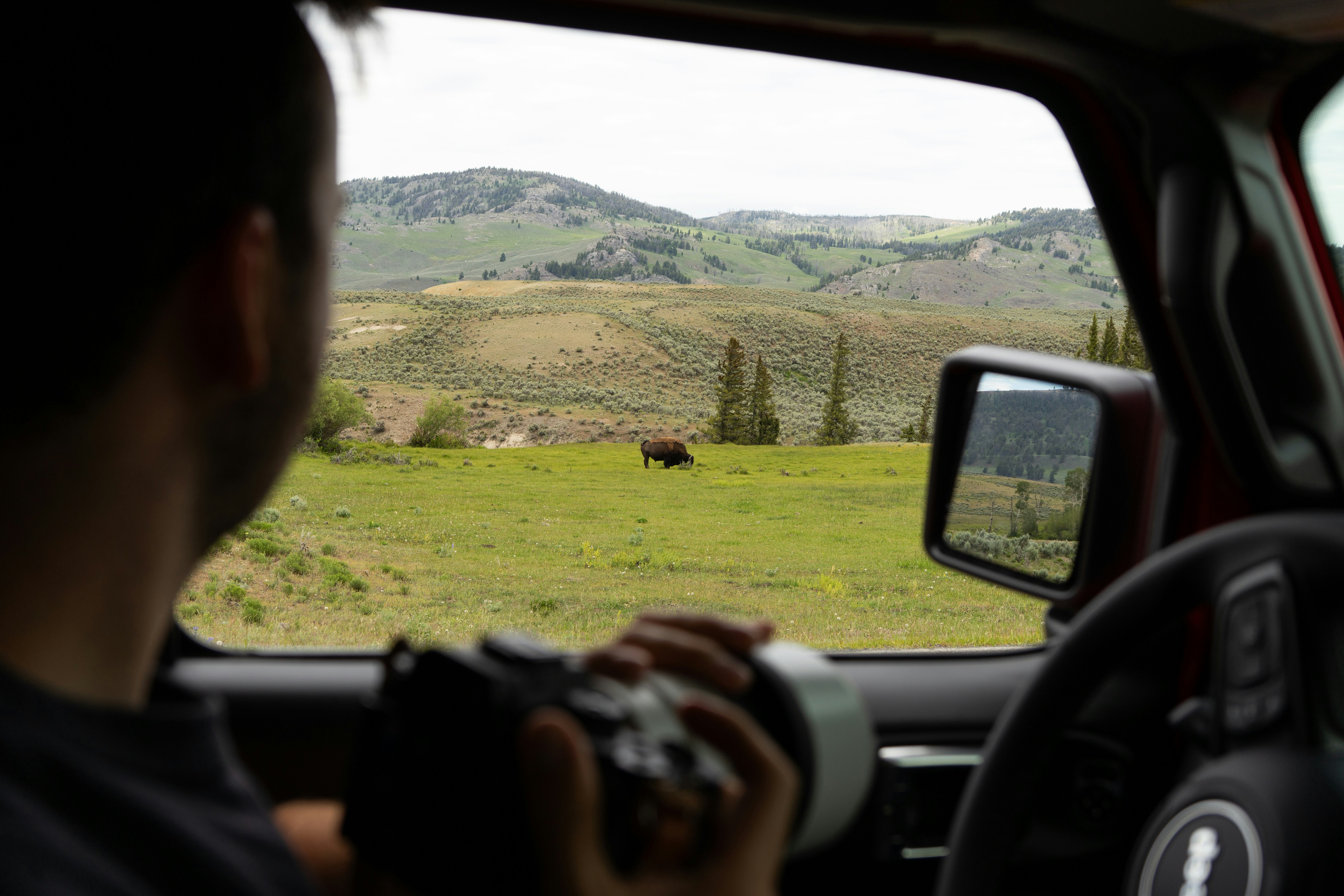 Through the Window: A Hunter's Quiet Watch of the Fallow Grass