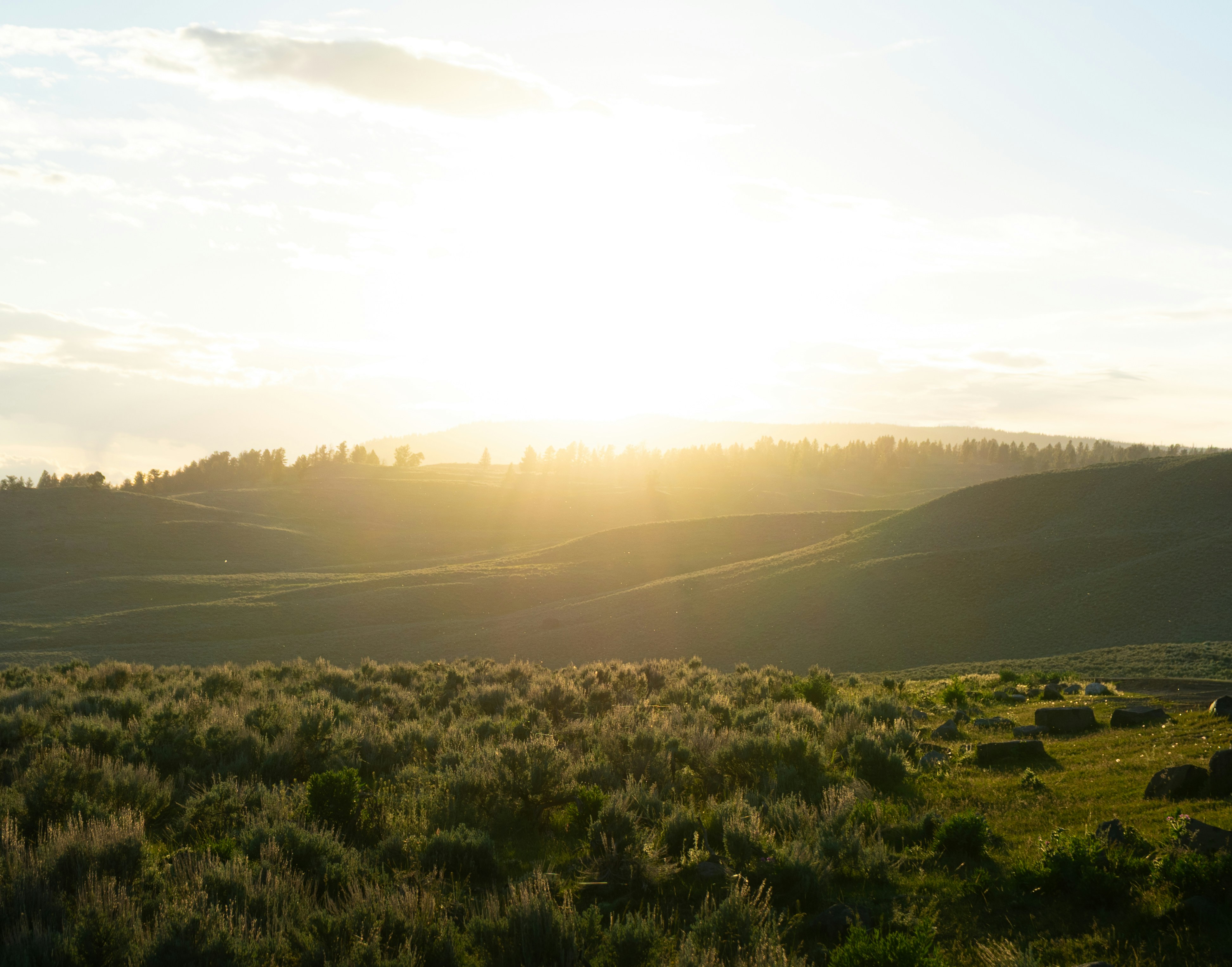 Dawn Over rolling sage: sunlit hillside and soft grasses
