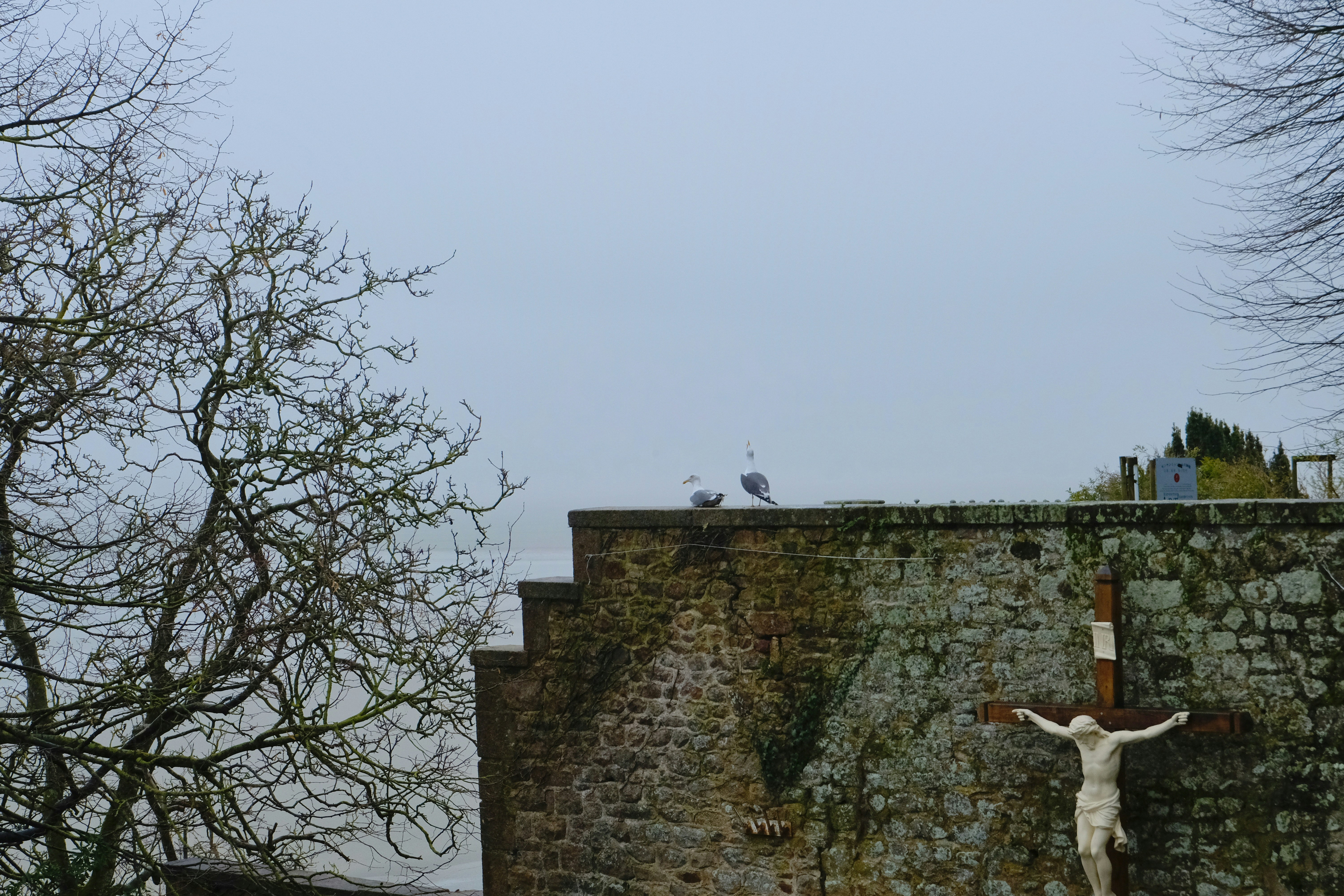 Crucifixion on the Wall: A Quiet Waterfront Scene with Seabirds
