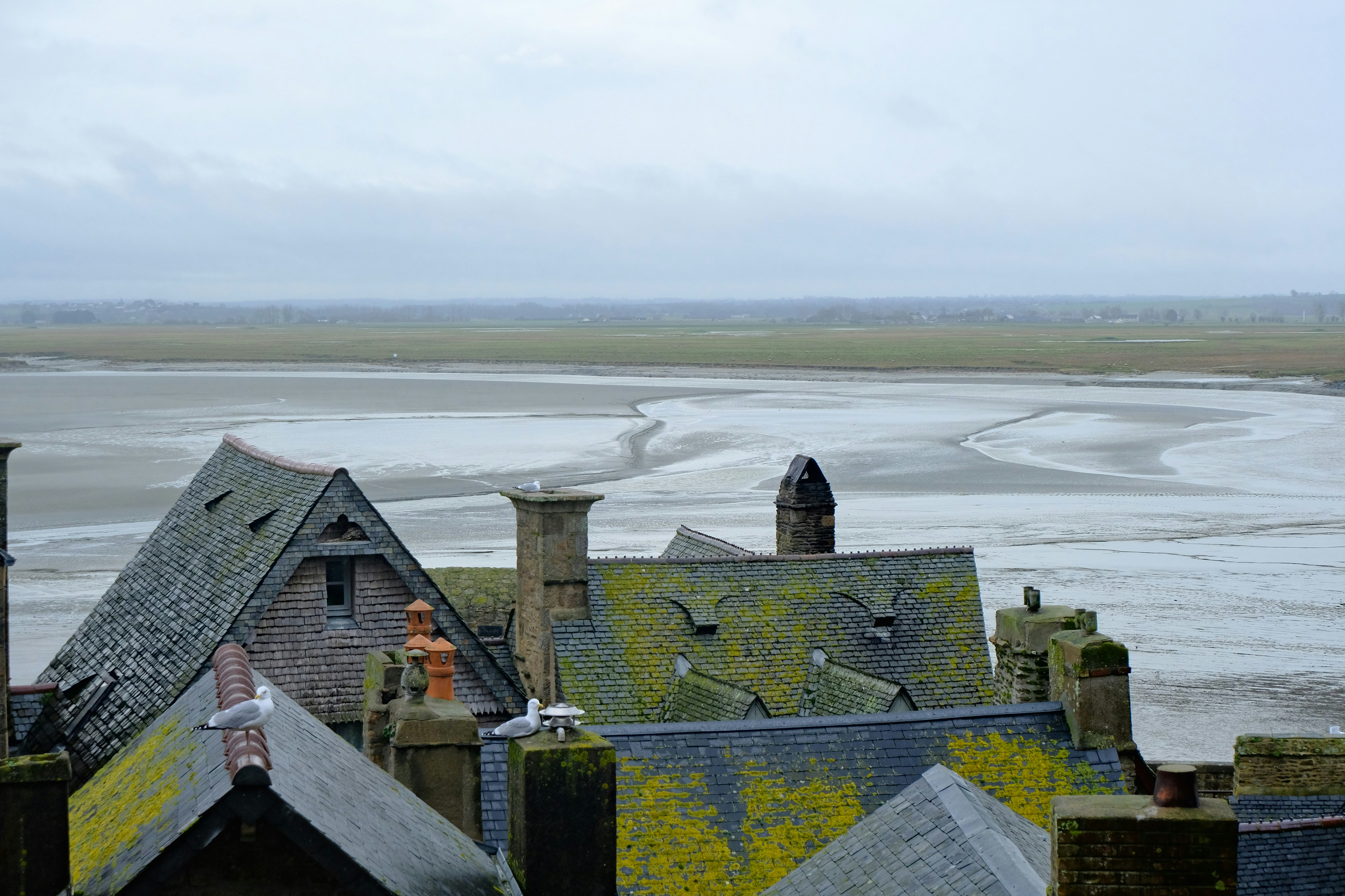 Mossy Slate Rooftops Against Distant Salt Marshes