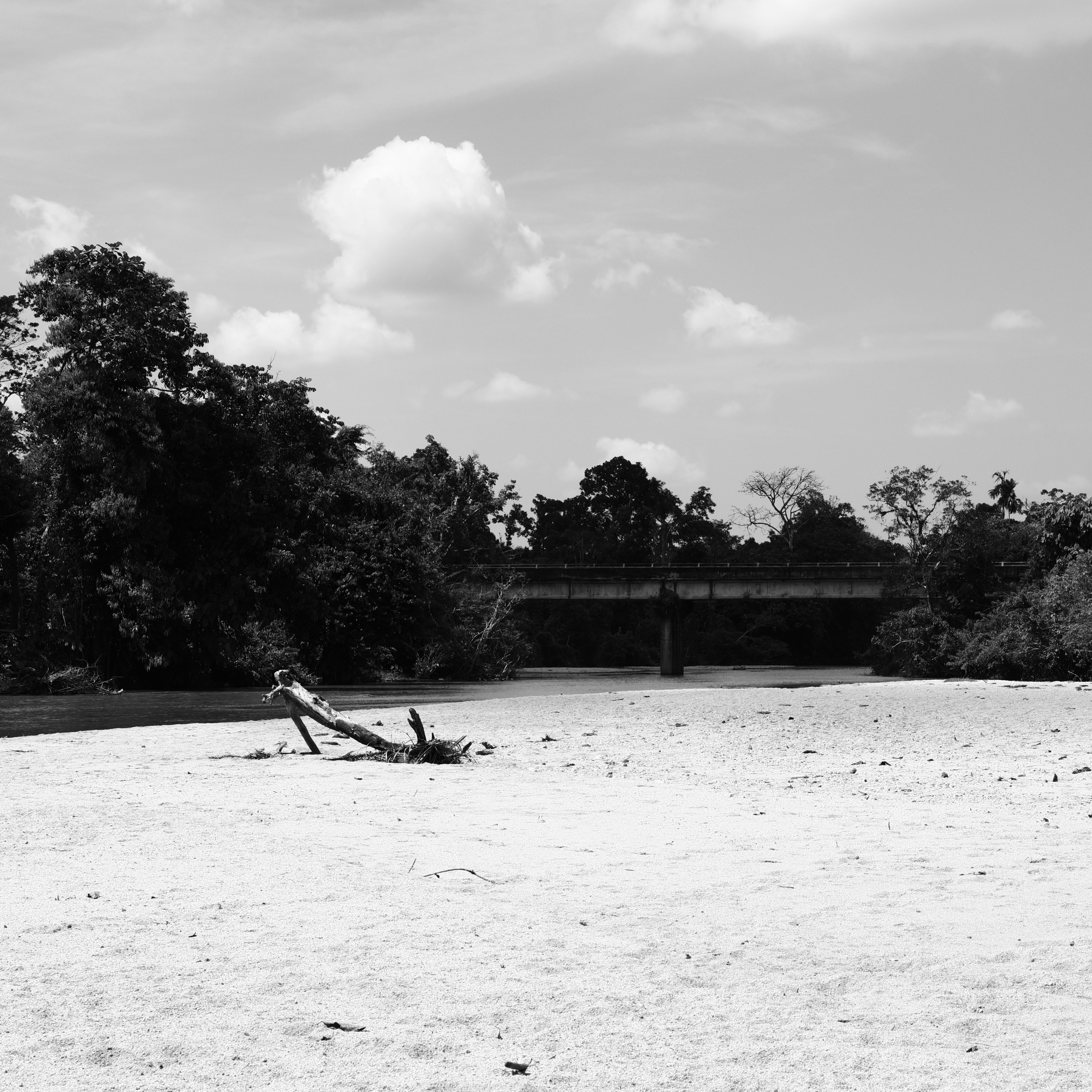 Silhouetted shoreline and fallen log beneath a distant bridge